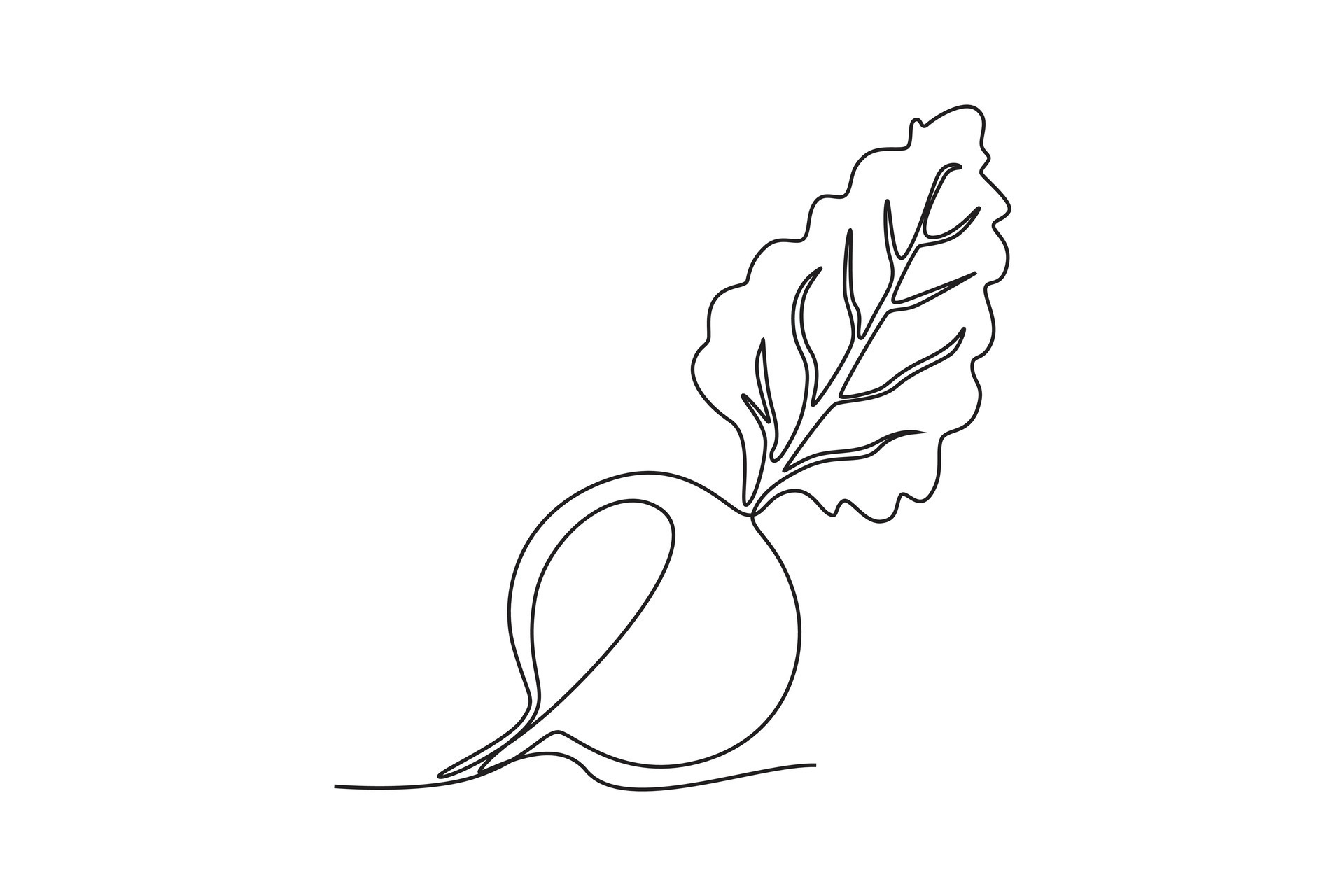 Single Continuous Line Drawing Whole Healthy Organic Beetroot For
