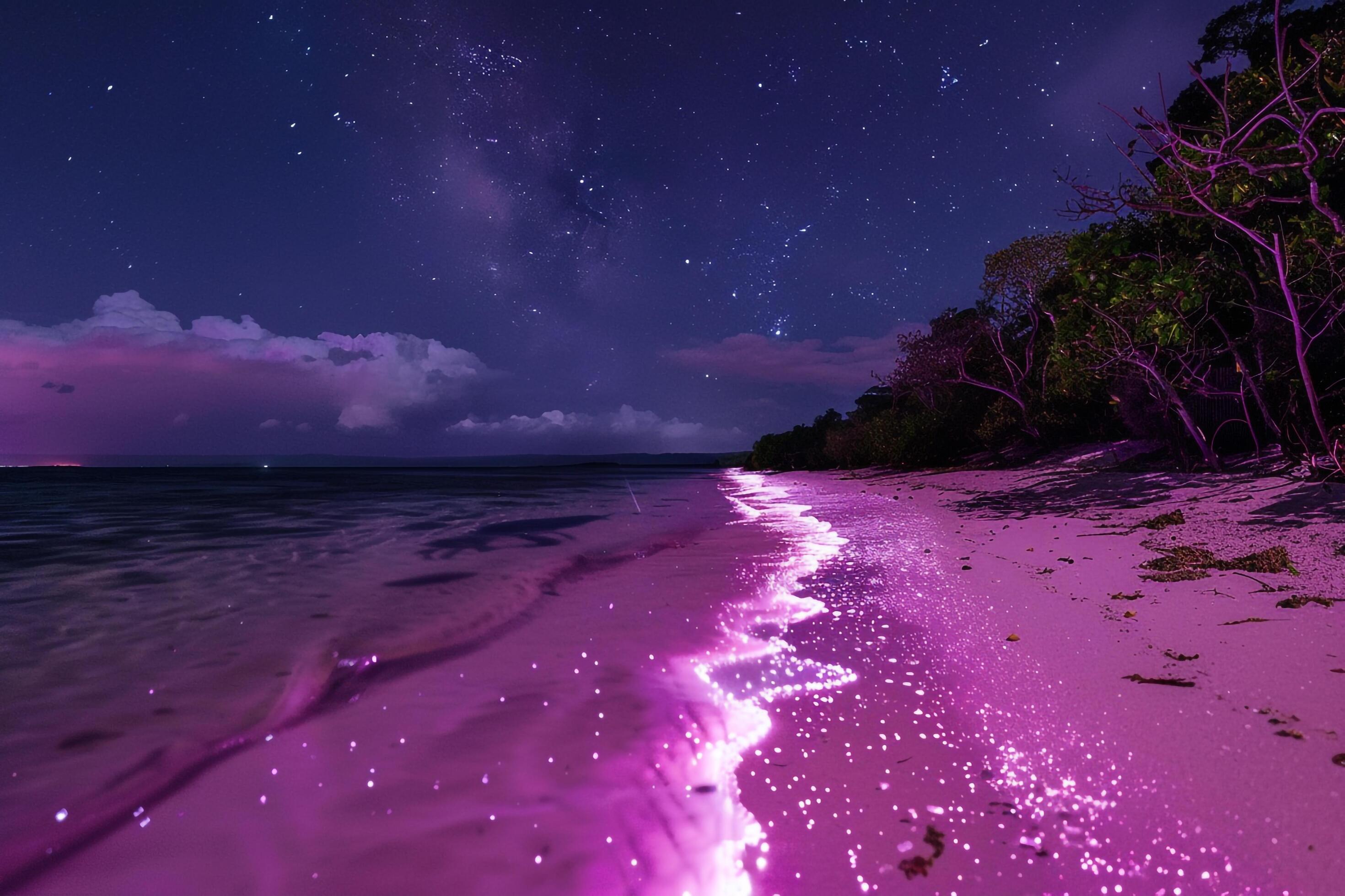 Beach with pink sand glowing under starry night sky with bioluminescent plankton lighting up the ...