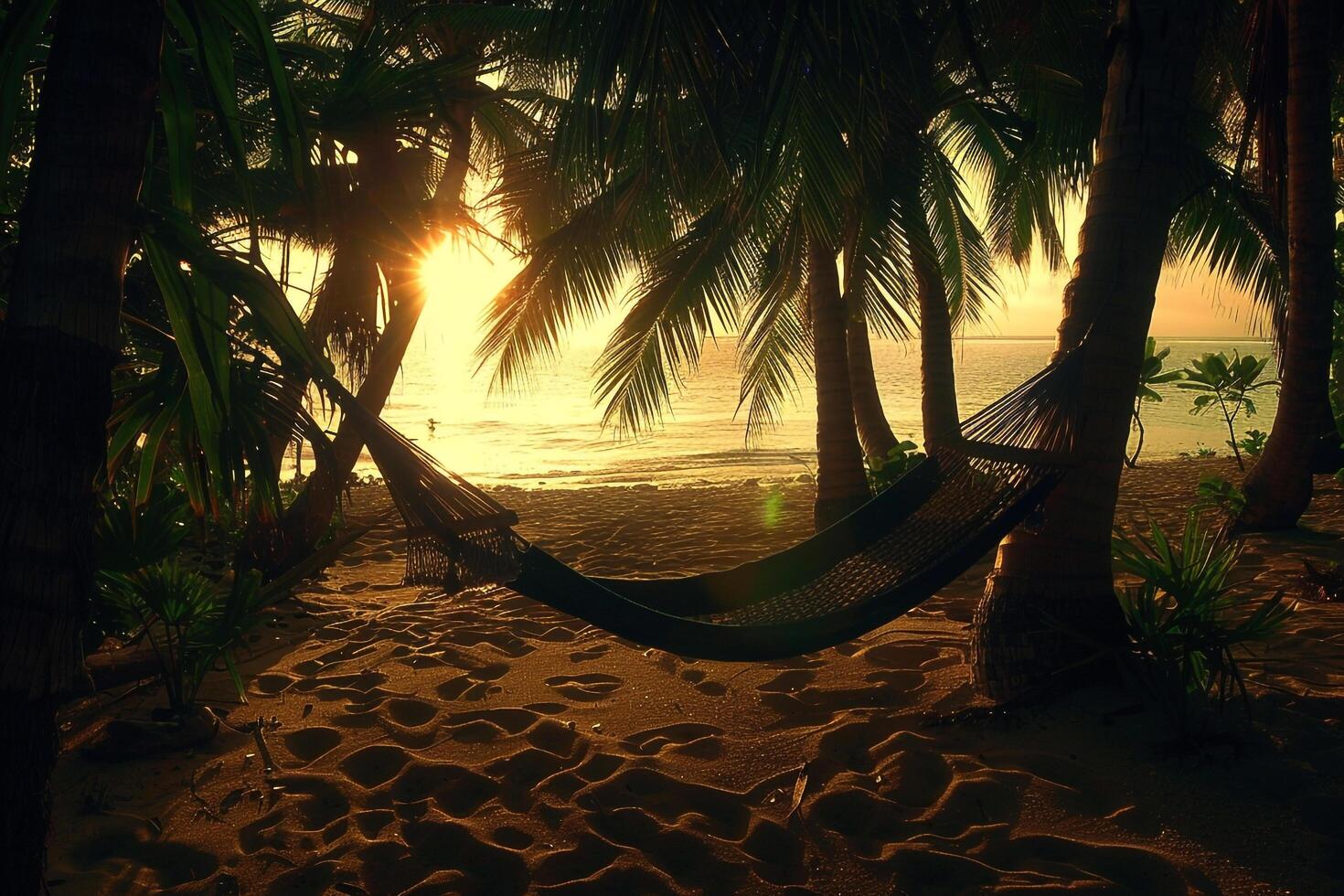 Hammock Swaying Between Palm Trees On Beach At Twilight With The Last Rays Of Sunlight Fading