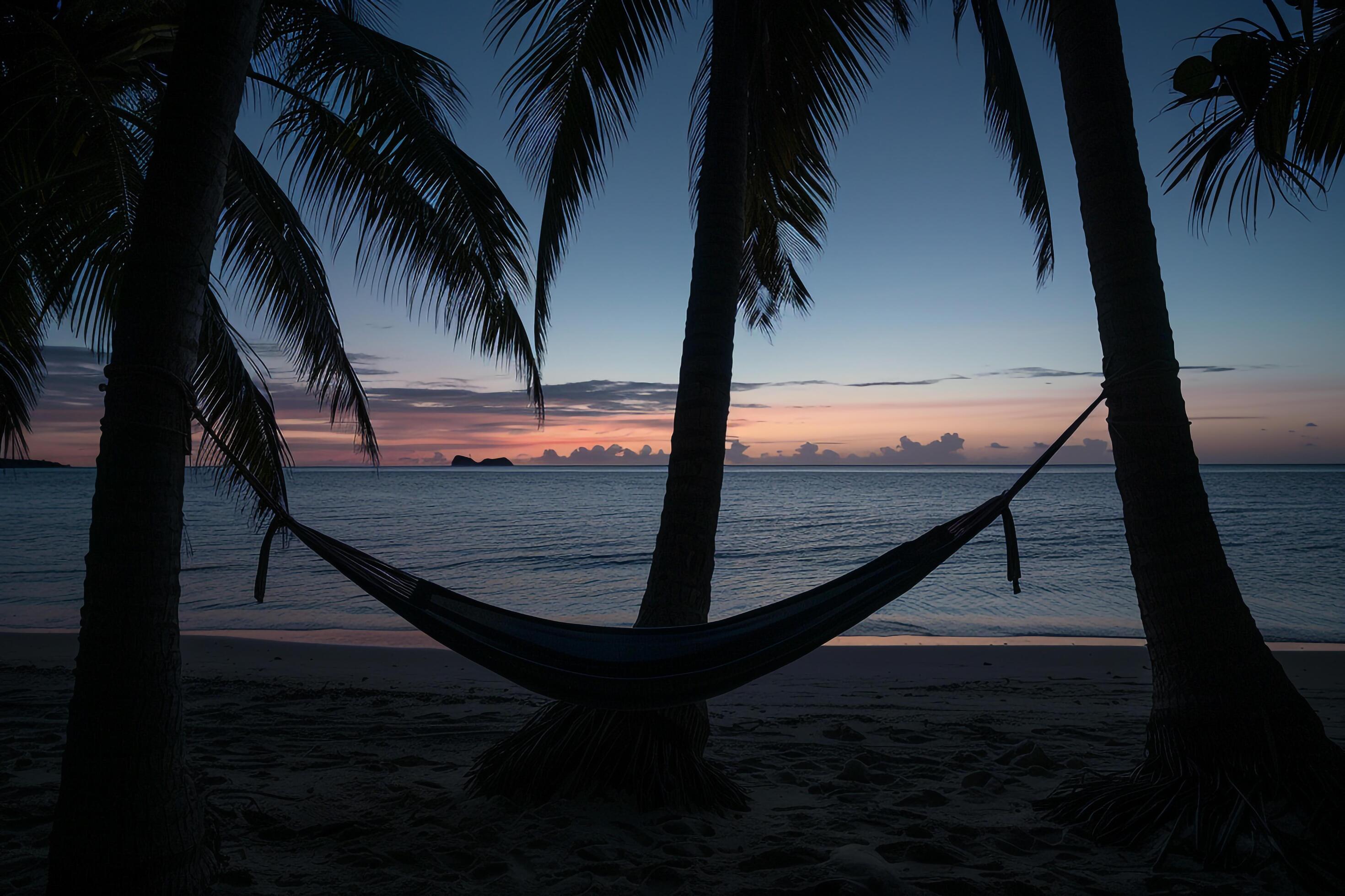Hammock Swaying Between Palm Trees On Beach At Twilight With The Last Rays Of Sunlight Fading