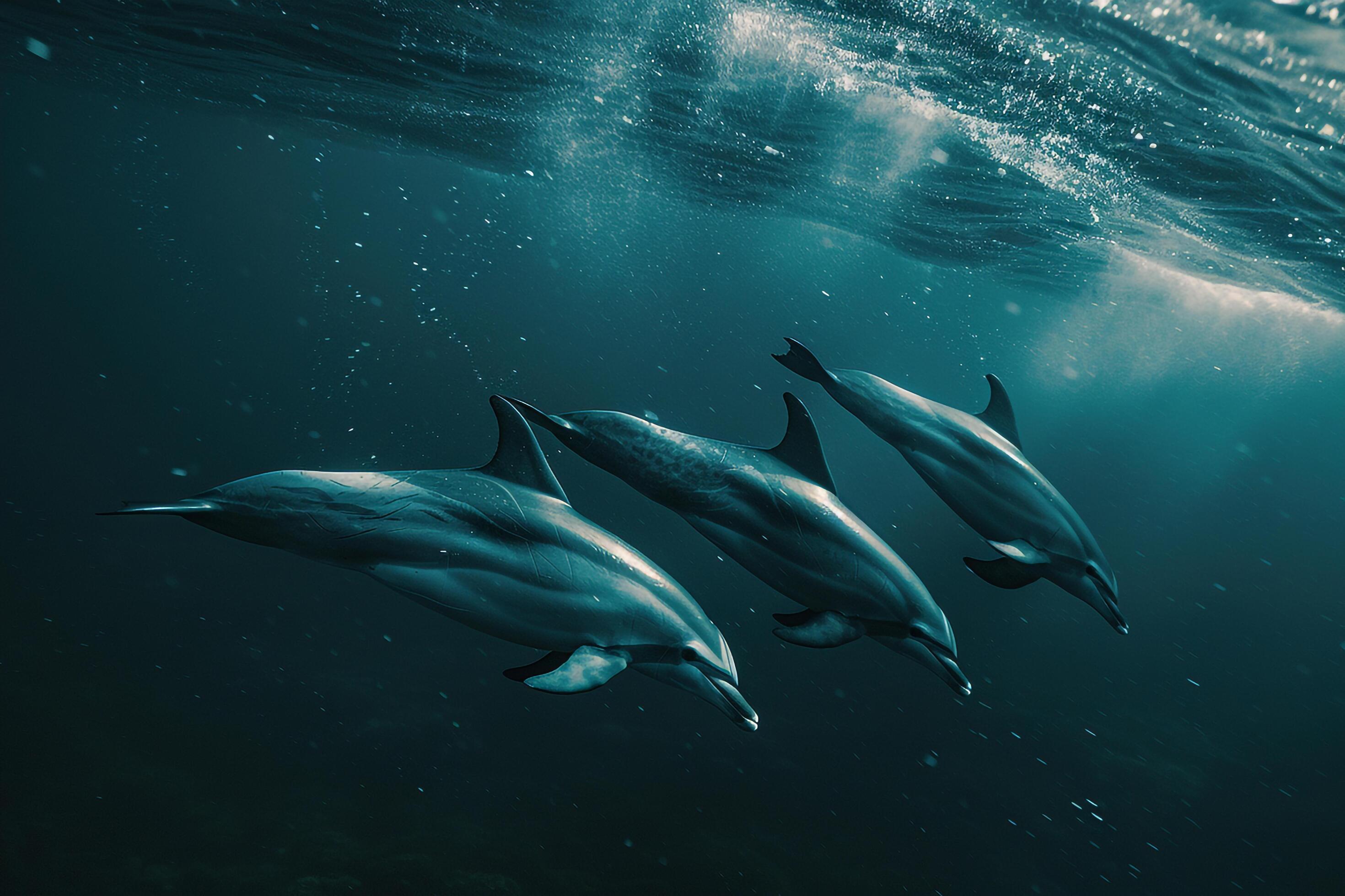 Dolphins Swimming Gracefully in Bioluminescent Waters with Nature and Background 48620349 Stock ...