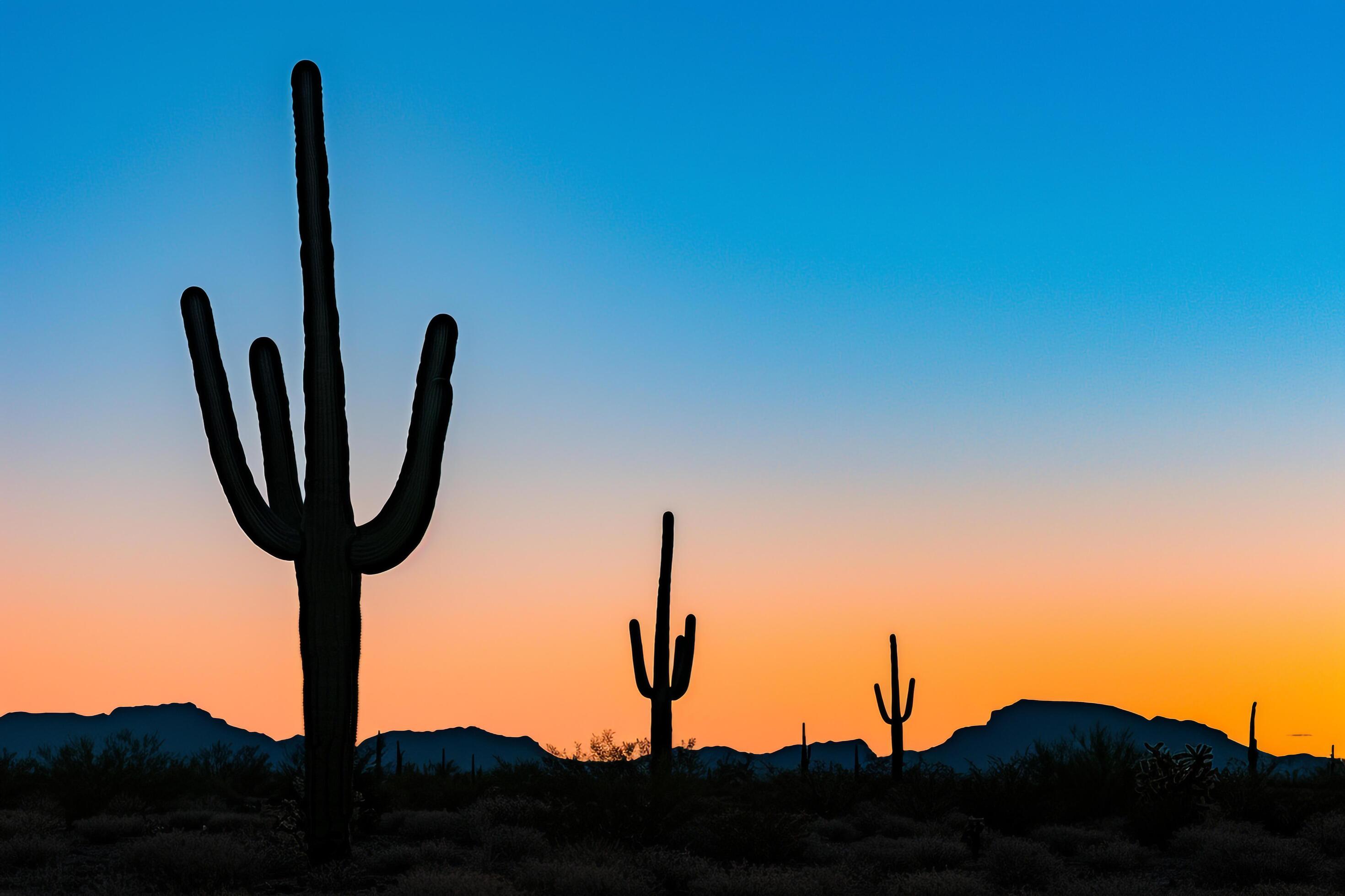 Iconic Saguaro Cactus Silhouetted Against Desert Sunset Background Nature 48623652 Stock Photo ...