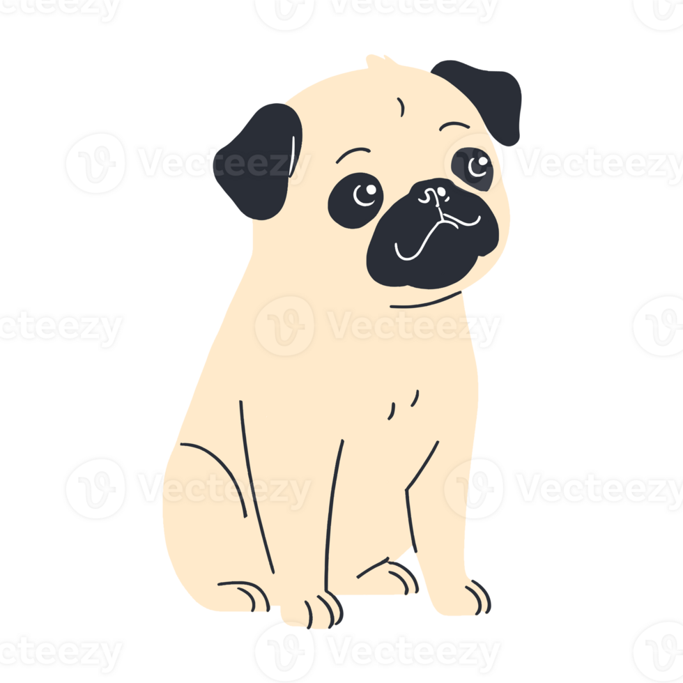 Cute Pug Icon 48678213 Png
