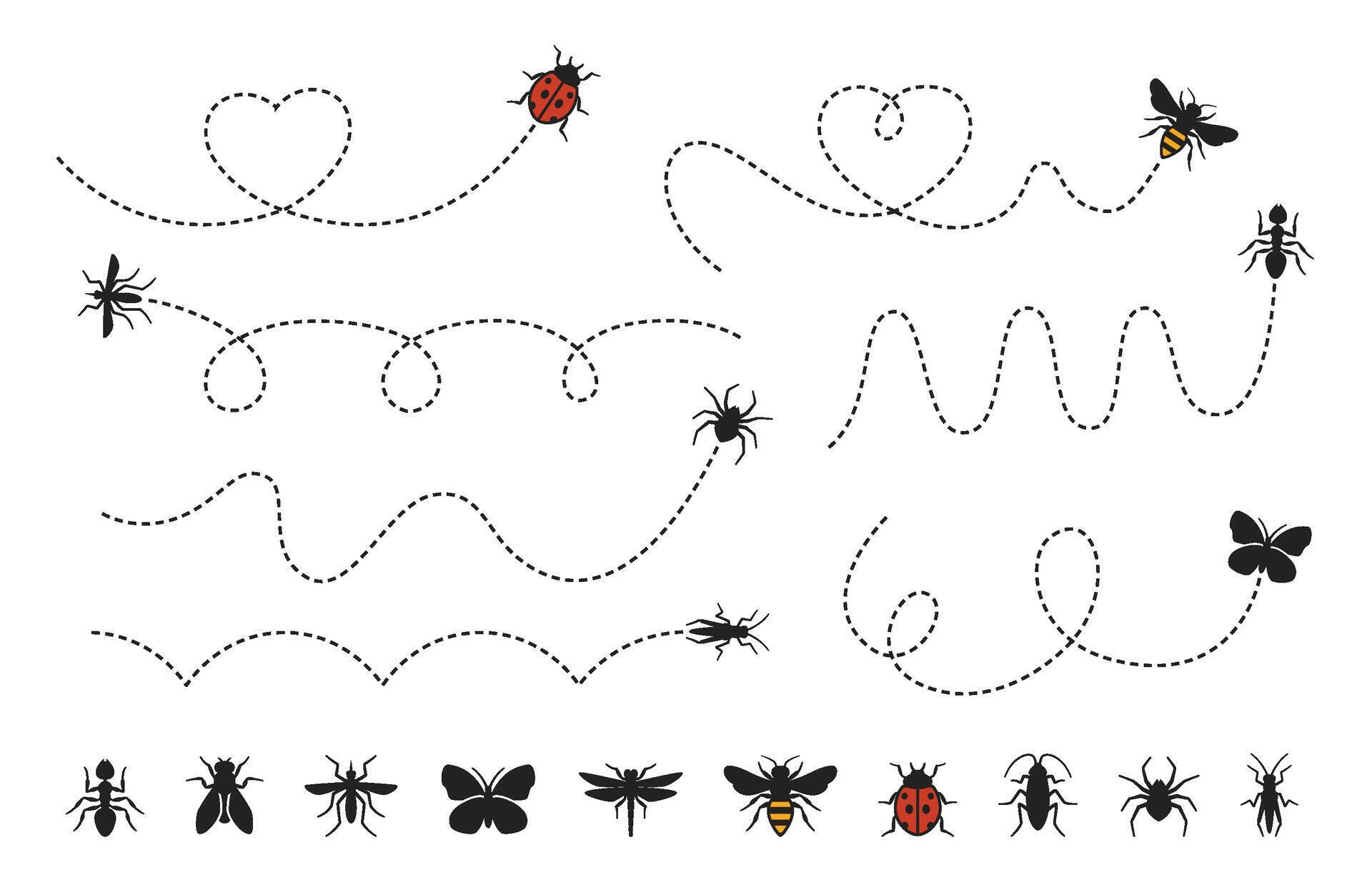Dashed line insect route. Bee, mosquito and butterfly flight paths. Ladybug, tiny ant, spider ...