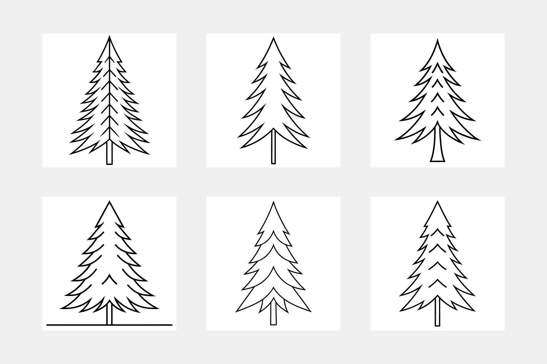 Pine Tree Line Art for Kids 48690482 Vector Art at Vecteezy