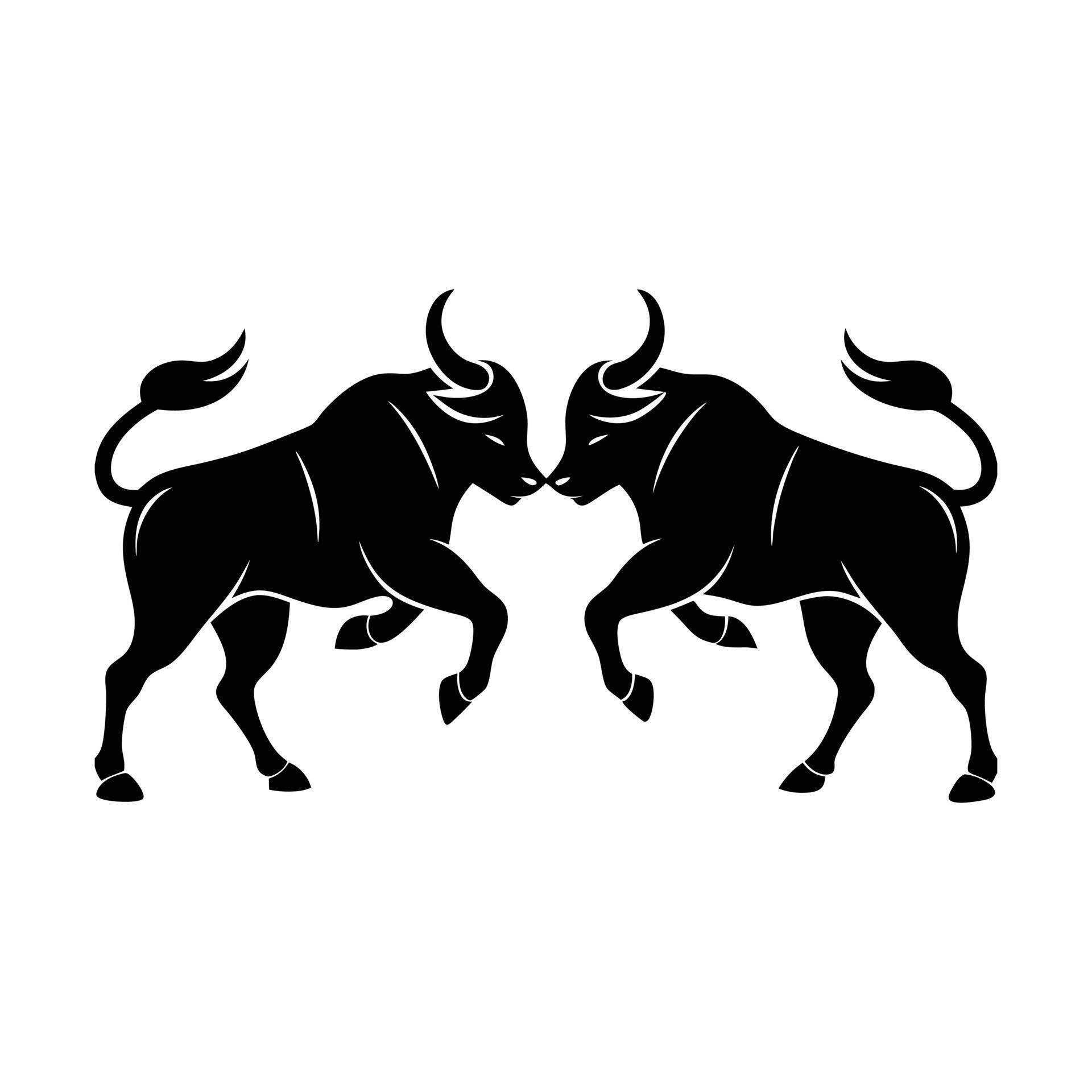 two bull fight silhouette illustrator art, silhouette matador and bull fight 48712485 Vector Art ...