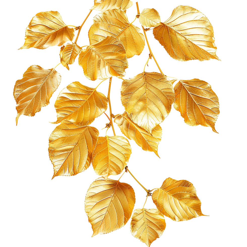 Golden Branches PNGs for Free Download