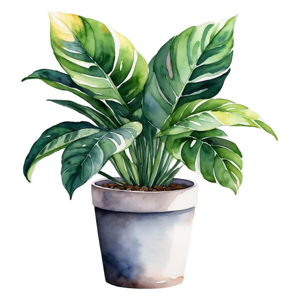 watercolor house plant in pot 48758189 PNG