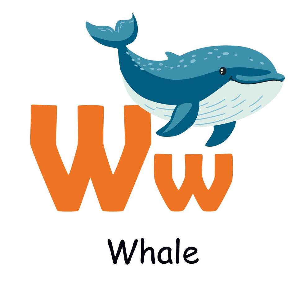 Cute animal alphabet for ABC book. W letter for the Whale 48768074 ...