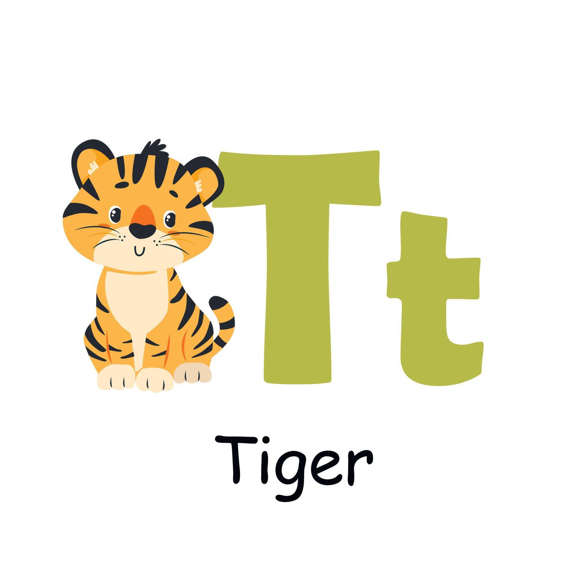 Cute animal alphabet for ABC book. T letter for the Tiger. 48768107 ...
