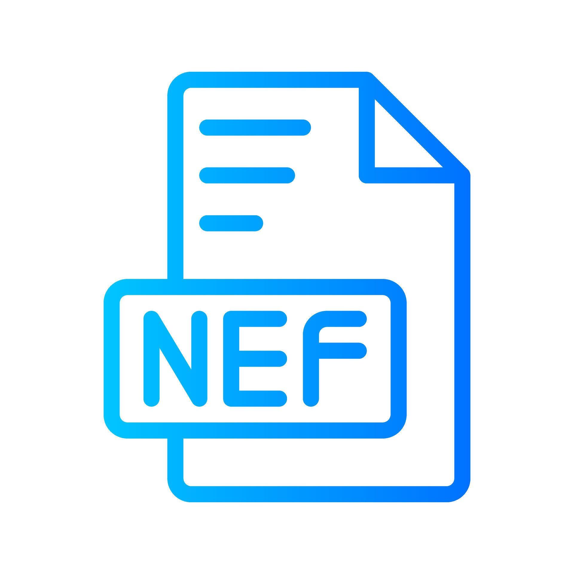 Nef Document file gradient icon. format file type icons symbol, Extension, type data ...