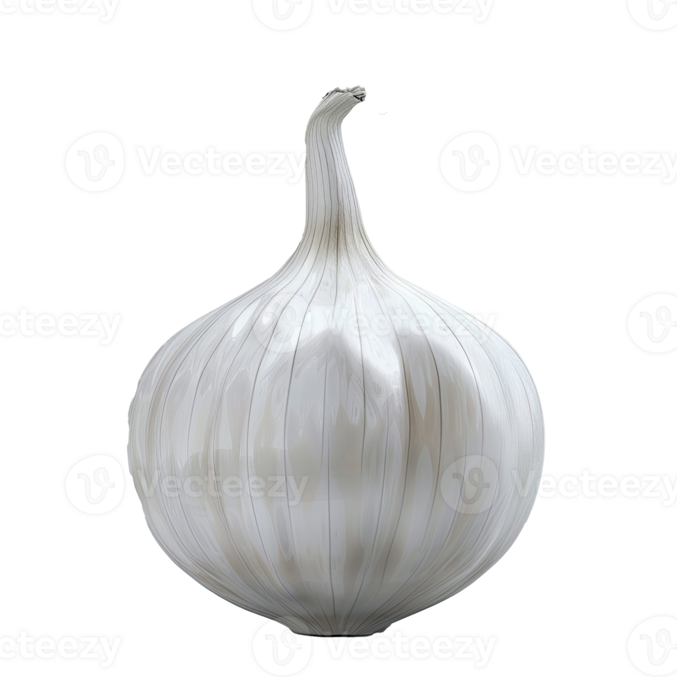 A Single White Garlic Bulb With Detailed Texture 48776681 Png