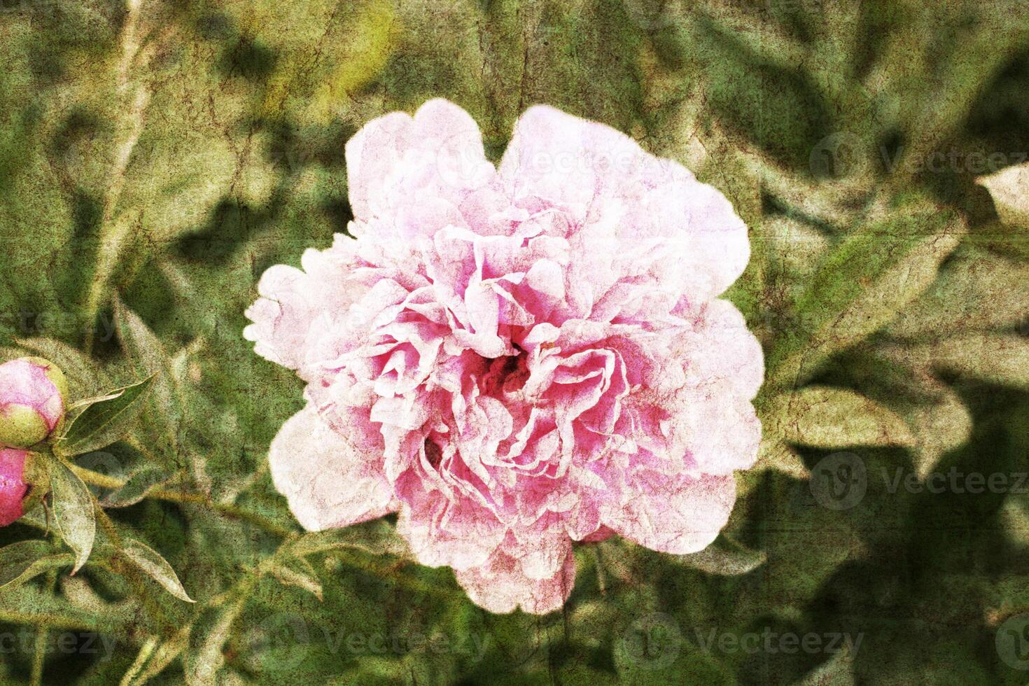 Vintage flower paper background 48827458 Stock Photo at Vecteezy Vintage flower paper background 48827458 Stock Photo at Vecteezy