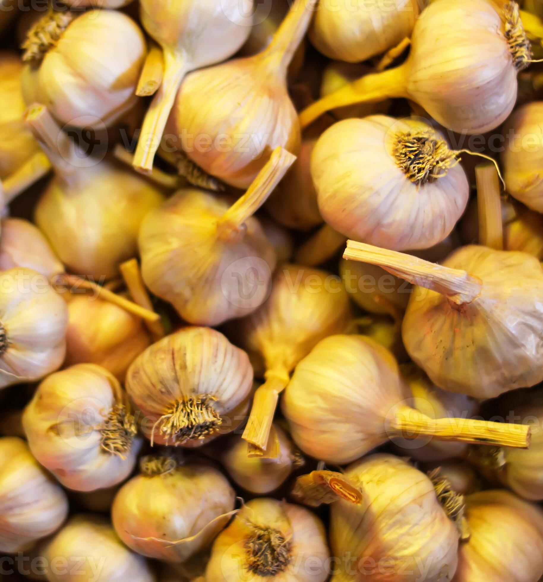 Fresh garlic cloves background. 48827802 Stock Photo at Vecteezy