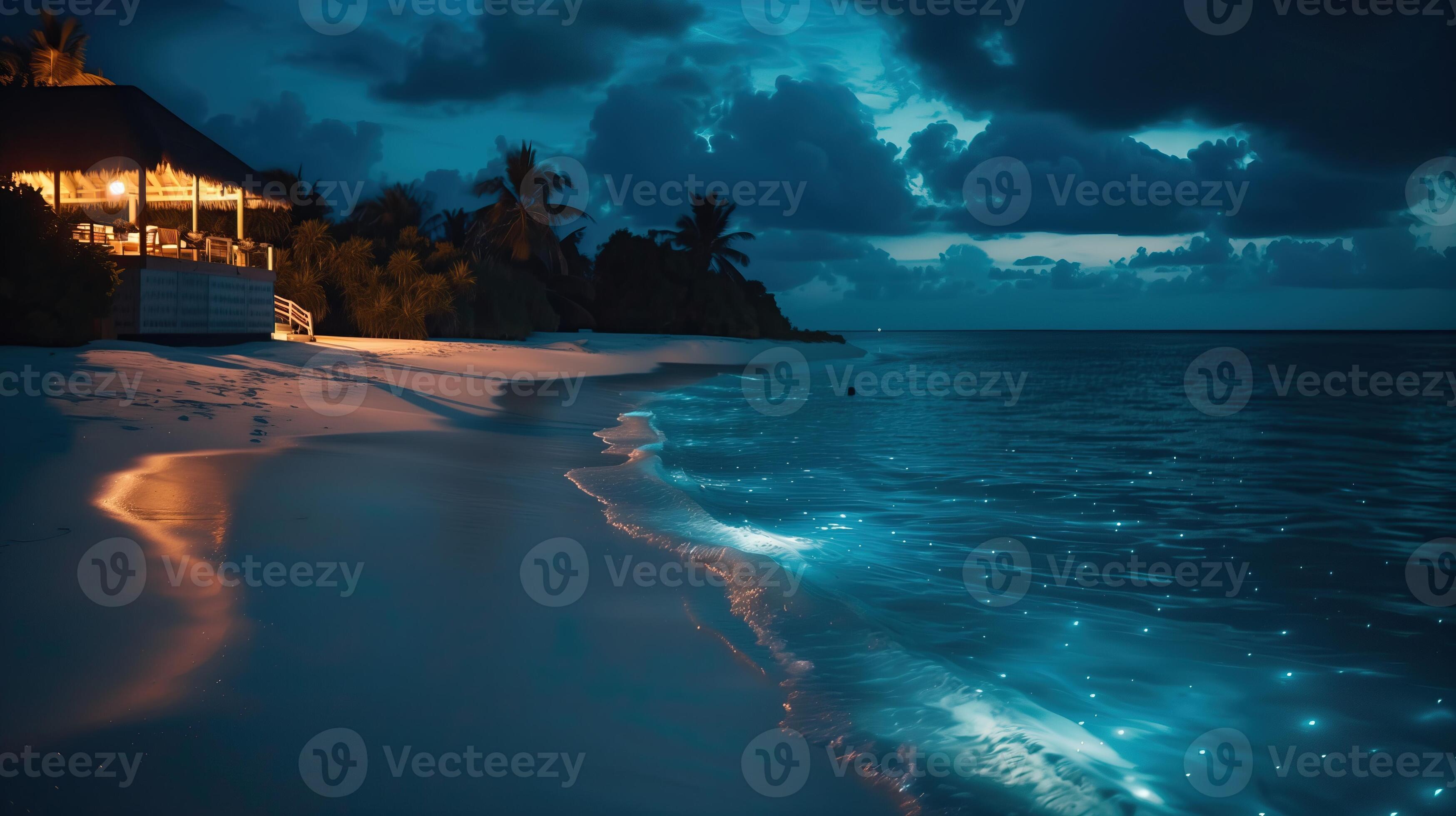 Bioluminescent glowing beach and sea at night. 48838275 Stock Photo at Vecteezy