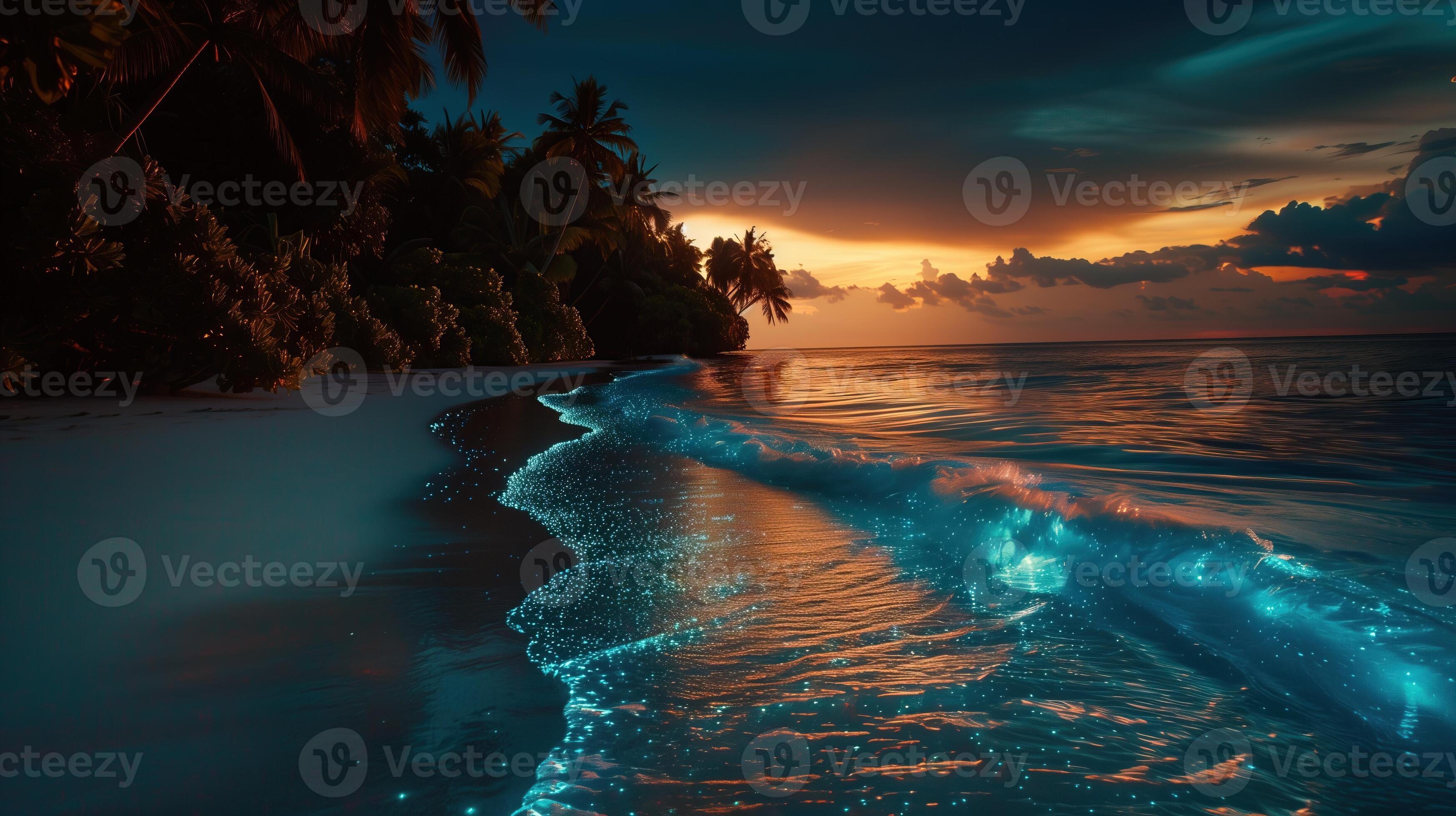 Bioluminescent glowing beach and sea at night. 48838283 Stock Photo at Vecteezy
