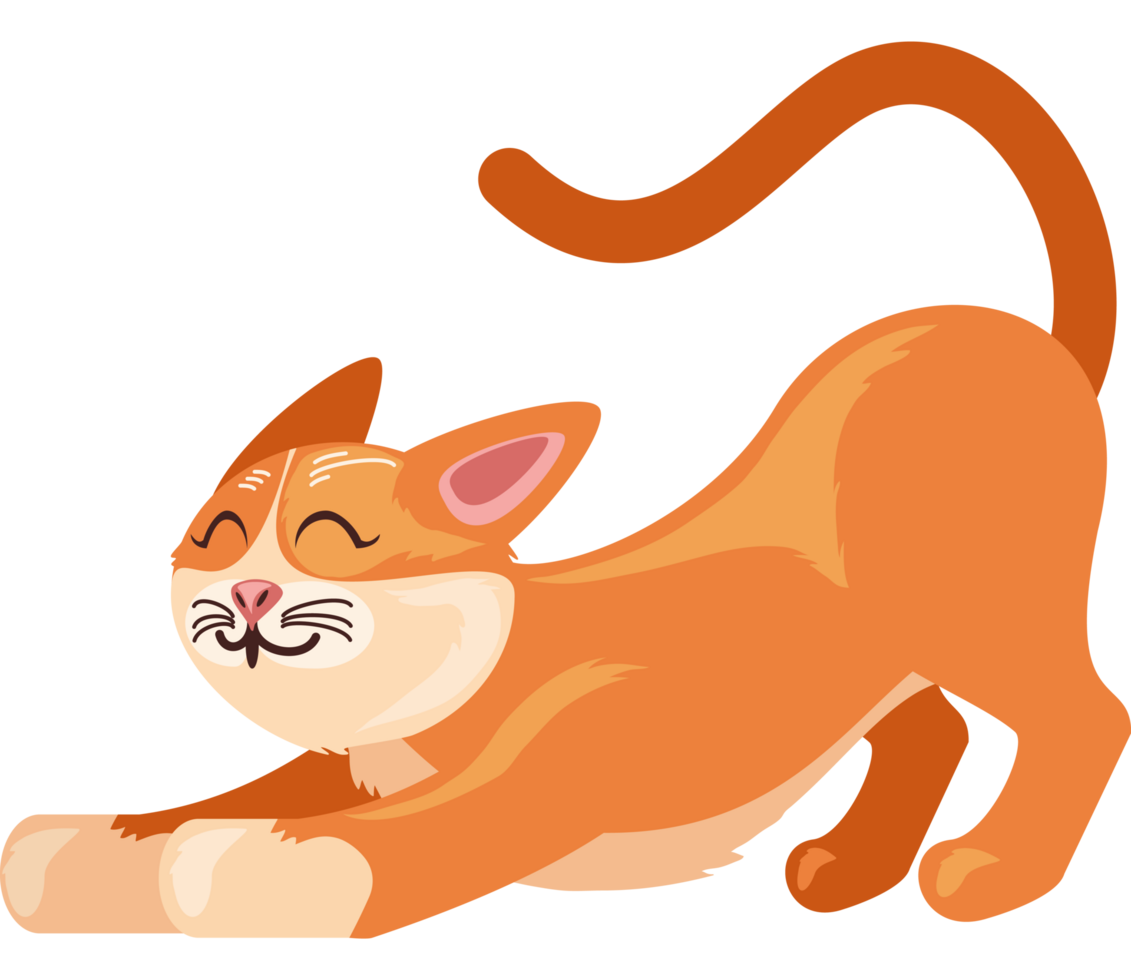 funny cat animal 48879926 PNG