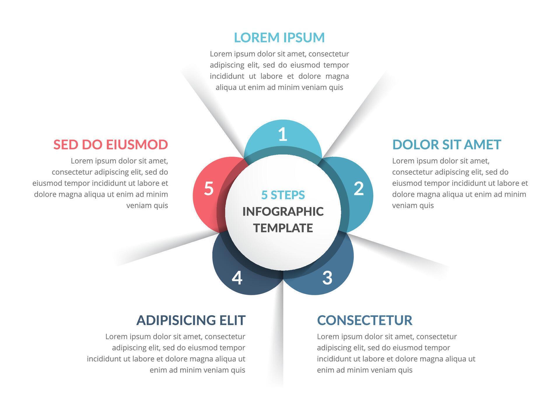 Circle Infographics - Five Elements 48913282 Vector Art at Vecteezy
