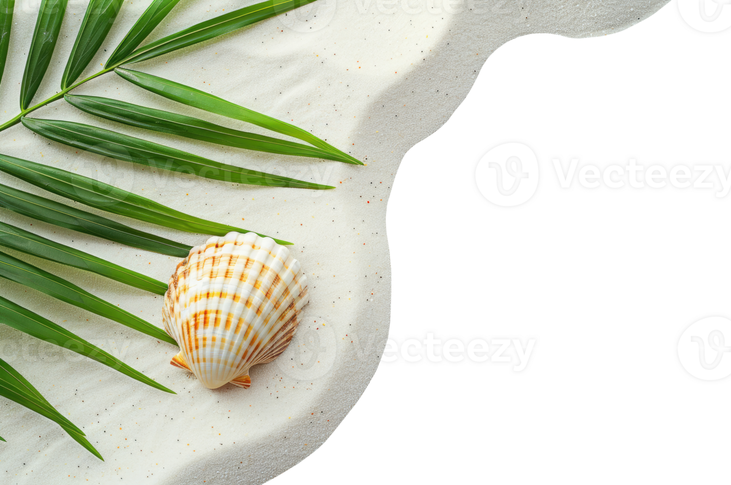 Sandy Beach With A Seashell 48941856 Png