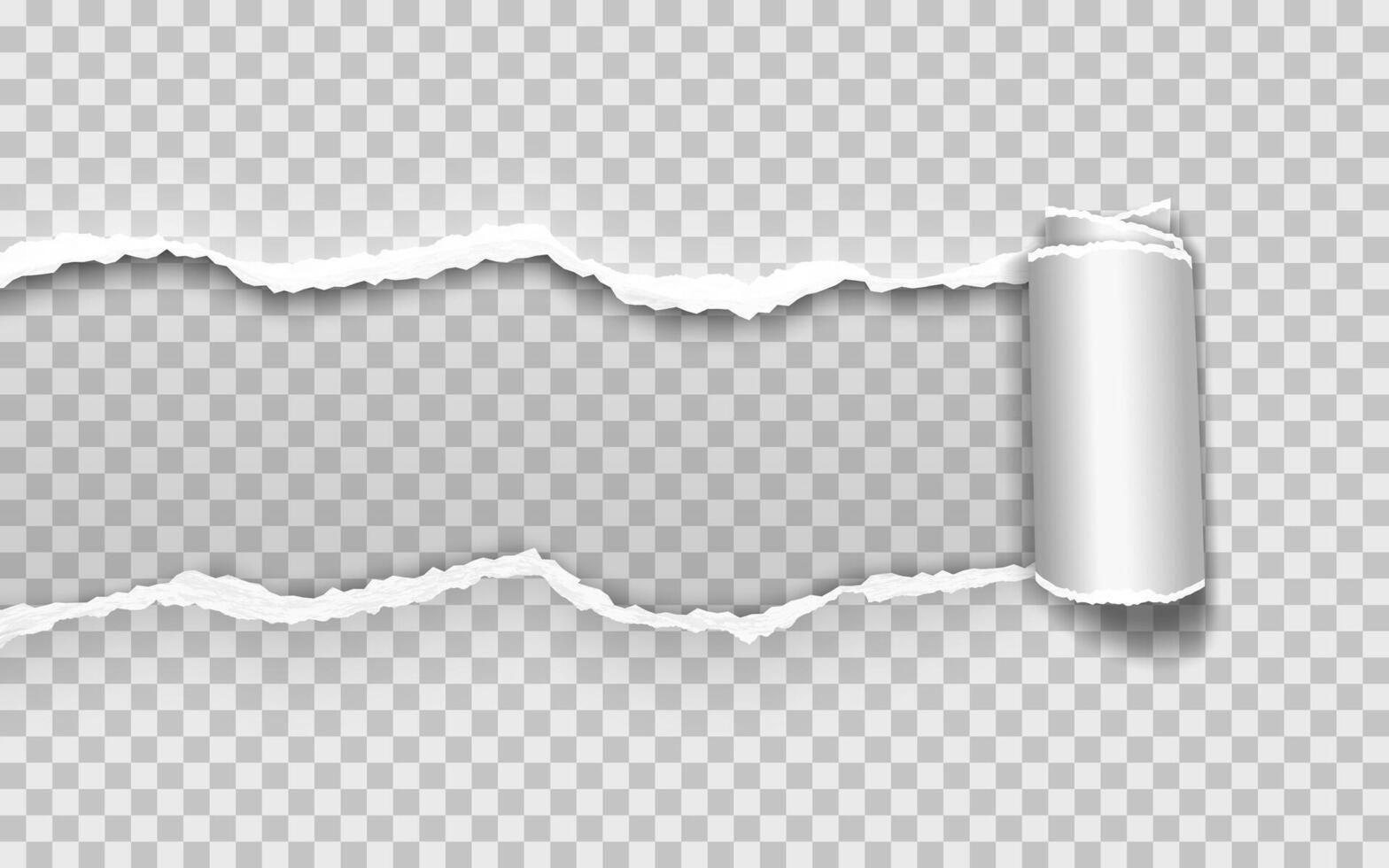 Realistic Torn Paper Edges With Rolled Edge And Shadows 48993771 Vector Art At Vecteezy
