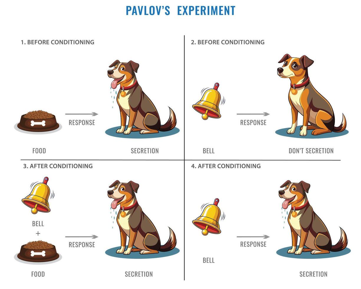 Pavlov's experiment on the dog conditional mechanisms with Food and ...