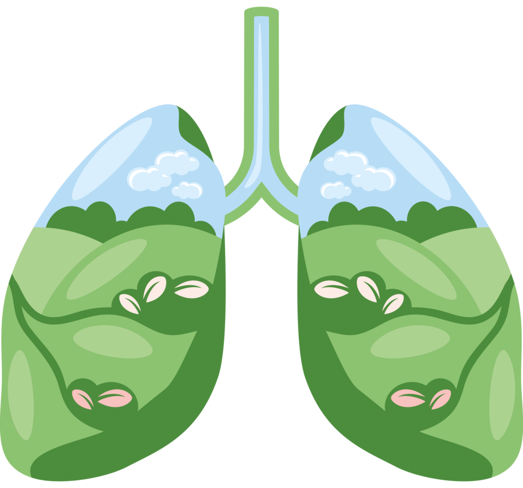 clean air lungs ecological 49015455 PNG clean air lungs ecological 49015455 PNG
