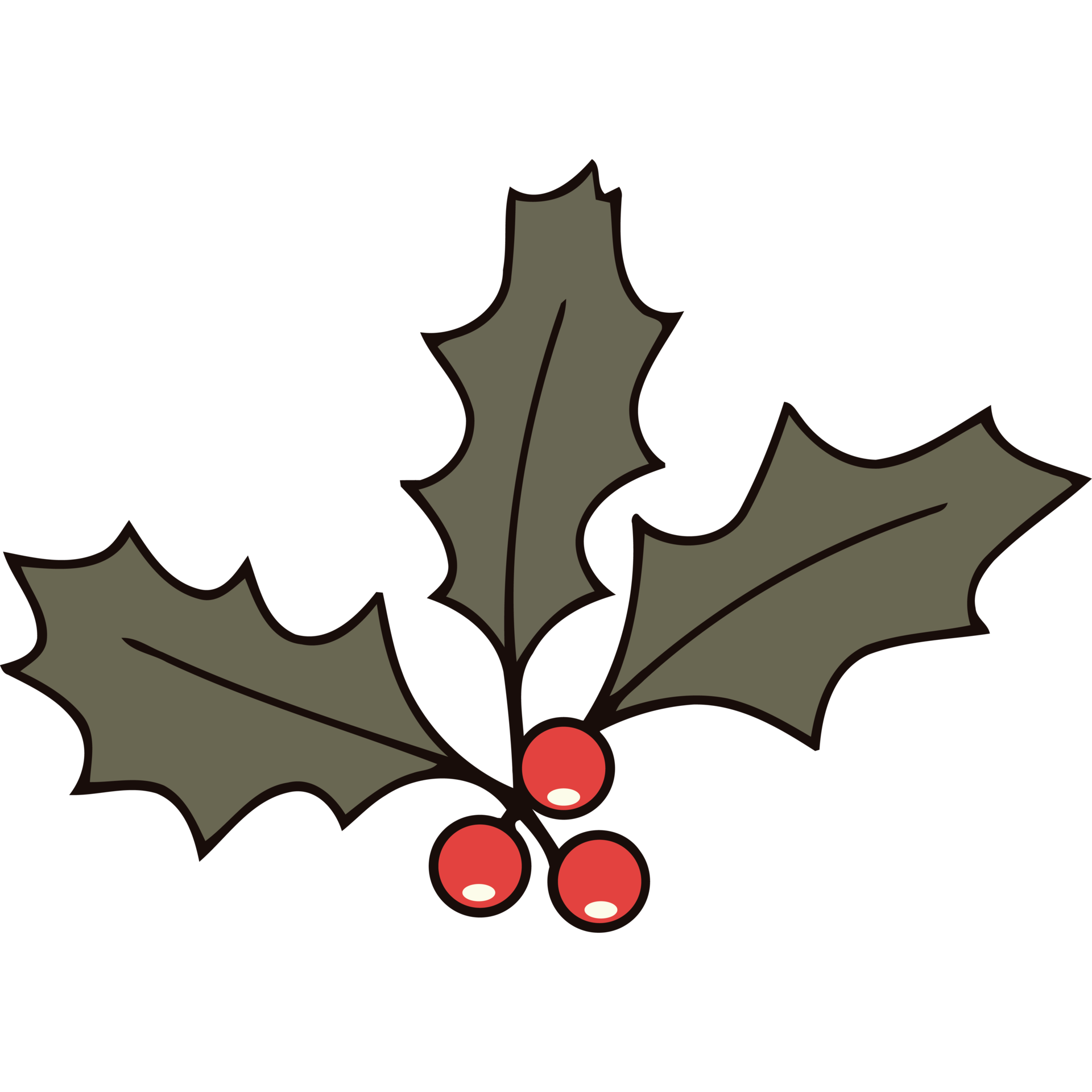 christmas holly berry 49015692 PNG