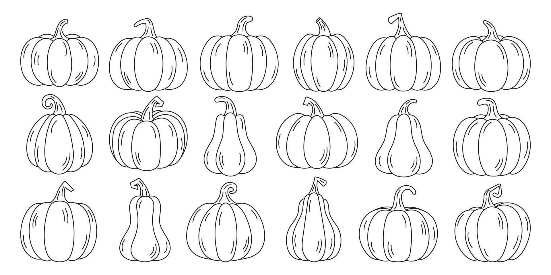 Set of pumpkins in line art style. Cute hand drawn pumpkins ...