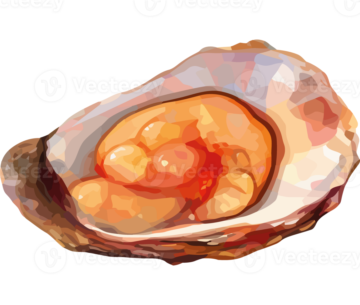 An Illustration Of An Oyster Shell 49029339 Png