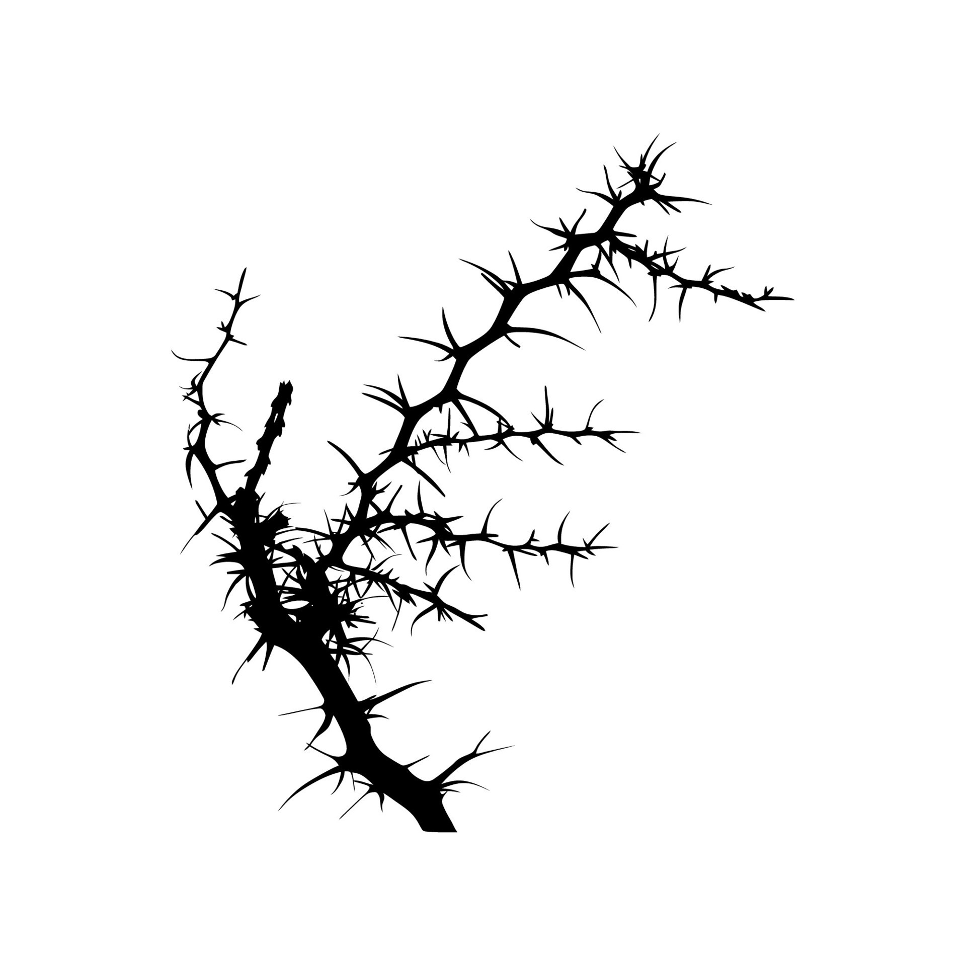 Silhouette of a Thorny Branch. icon design. 49043736 Vector Art at Vecteezy Silhouette of a Thorny Branch. icon design. 49043736 Vector Art at Vecteezy