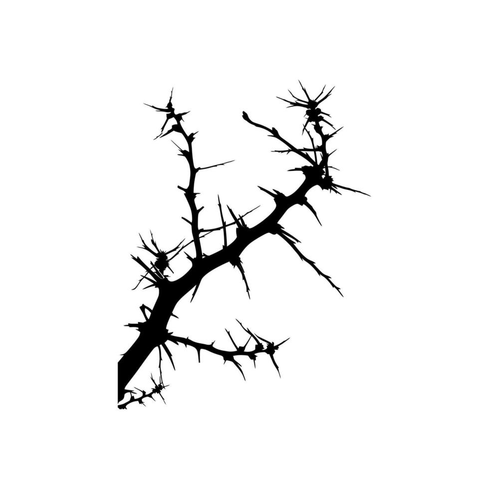 Silhouette of Thorny Branch. icon design. 49043742 Vector Art at Vecteezy Silhouette of Thorny Branch. icon design. 49043742 Vector Art at Vecteezy