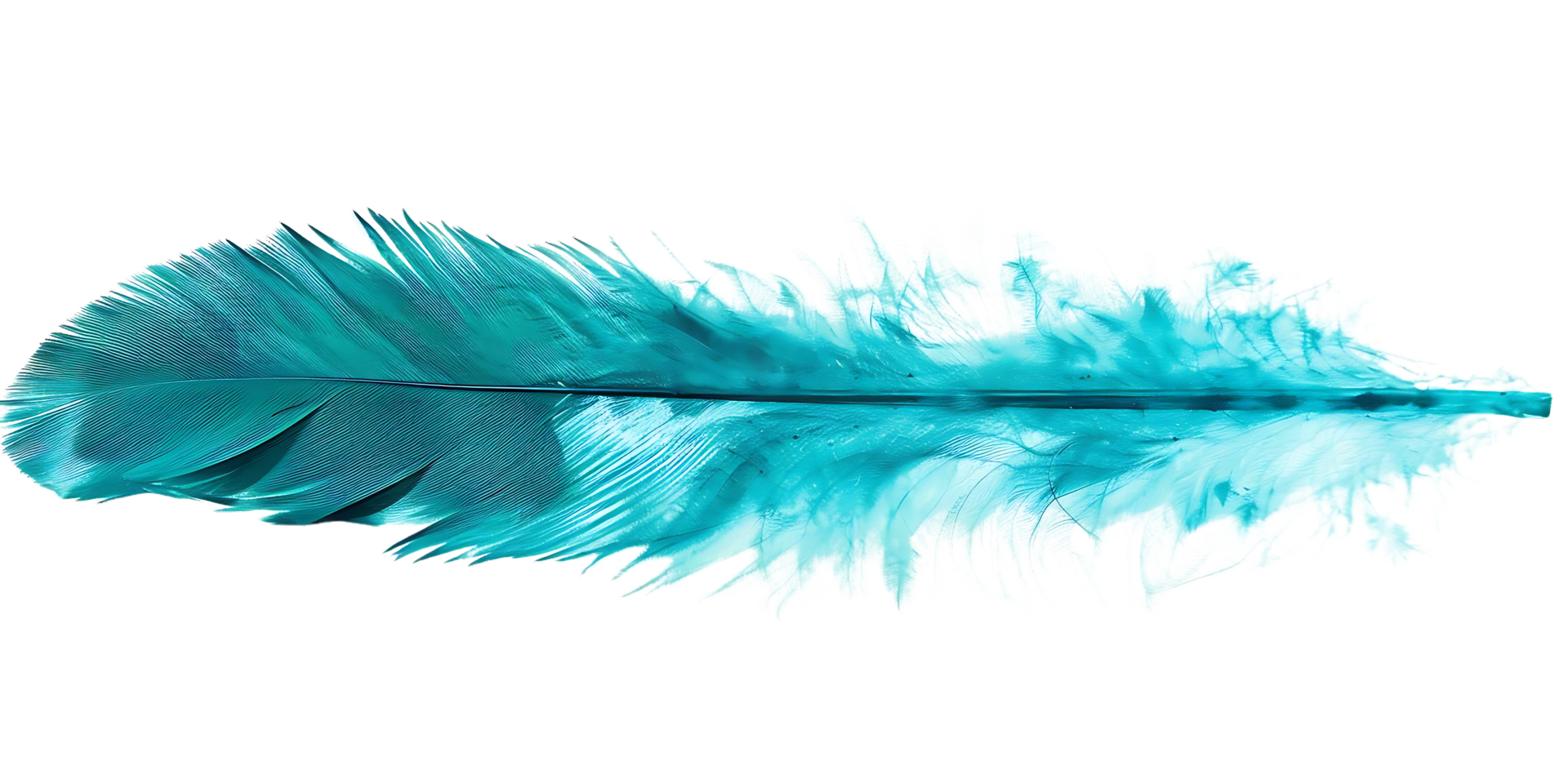 Single Turquoise Feather Isolated on Transparent Background, a Blue Bird's Soft Plume with ...
