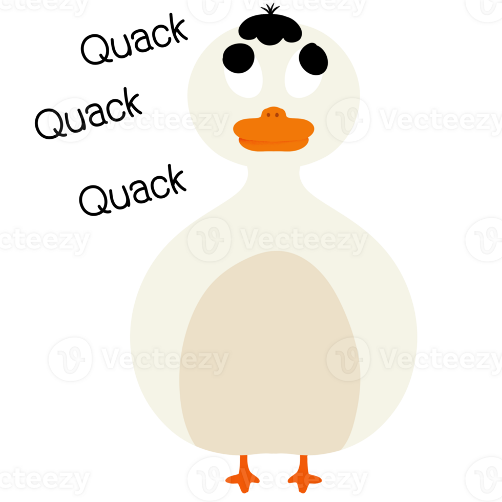 Duck Quack Quack 49158571 PNG Duck Quack Quack 49158571 PNG