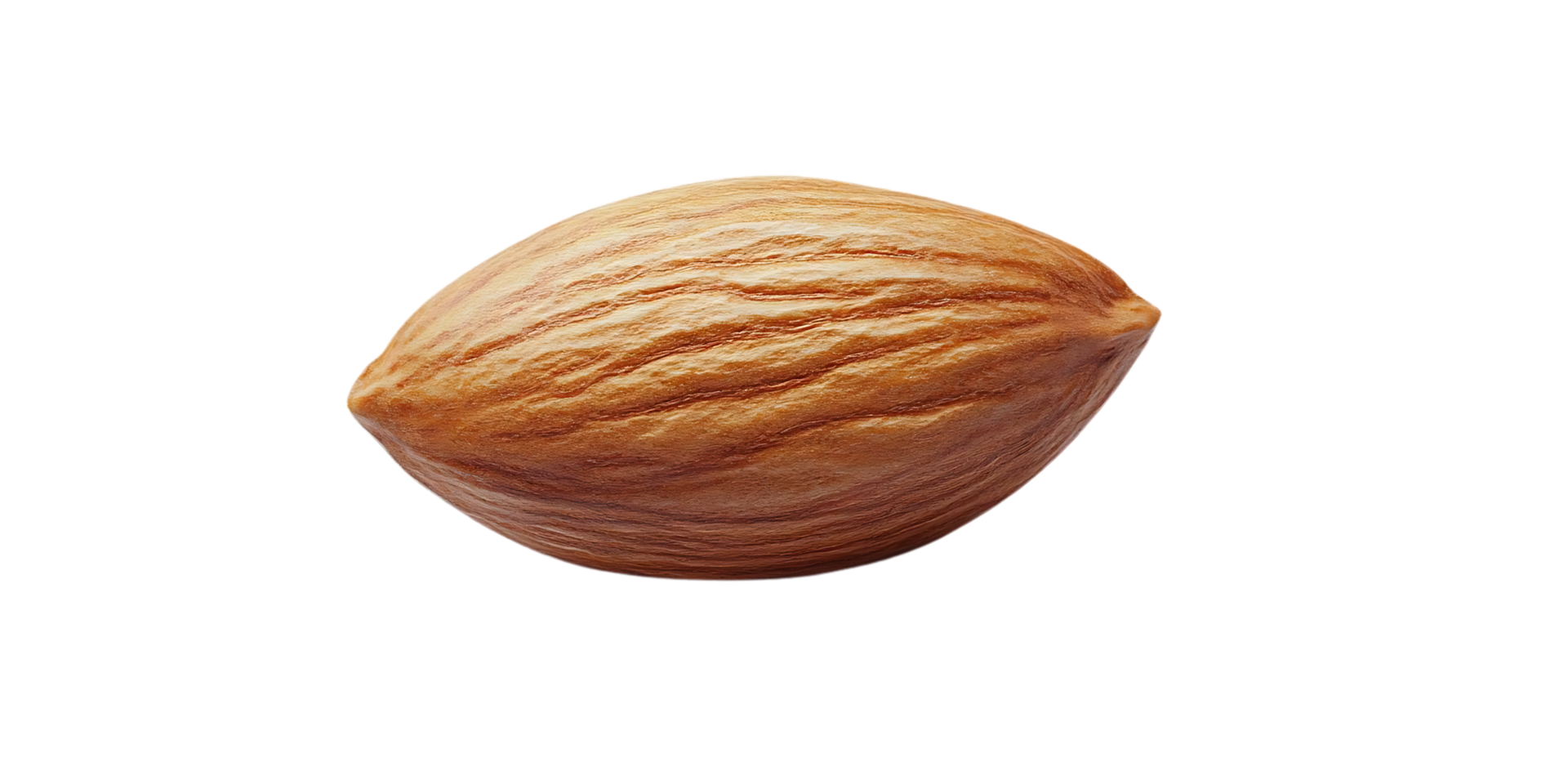 Single Almond Nut Isolated On A Transparent Background, Brown Almond ... Single Almond Nut Isolated On A Transparent Background, Brown Almond ...