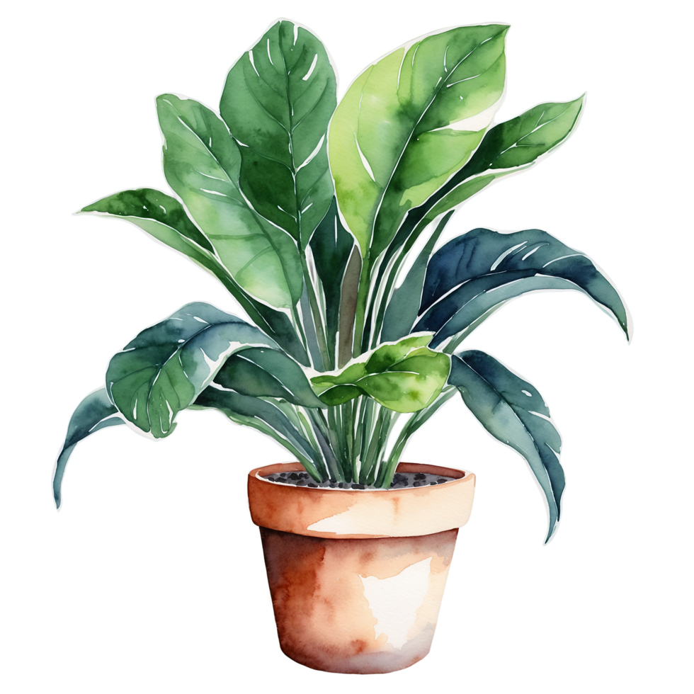 watercolor house plant in pot 49206793 PNG