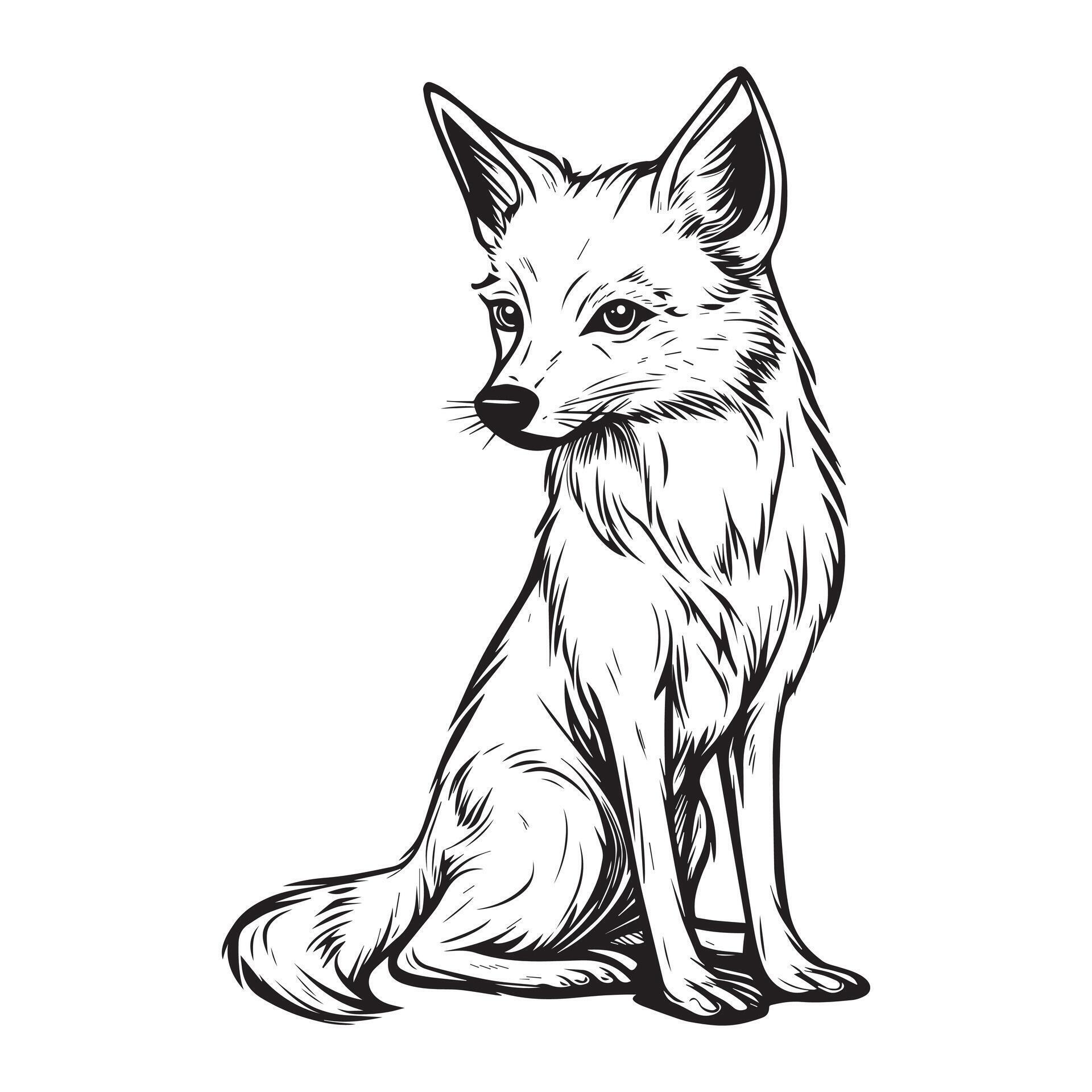 Jackal Outline Design, Jackal Clipart, A Gentle Lick Jackal illustration in black and white ...