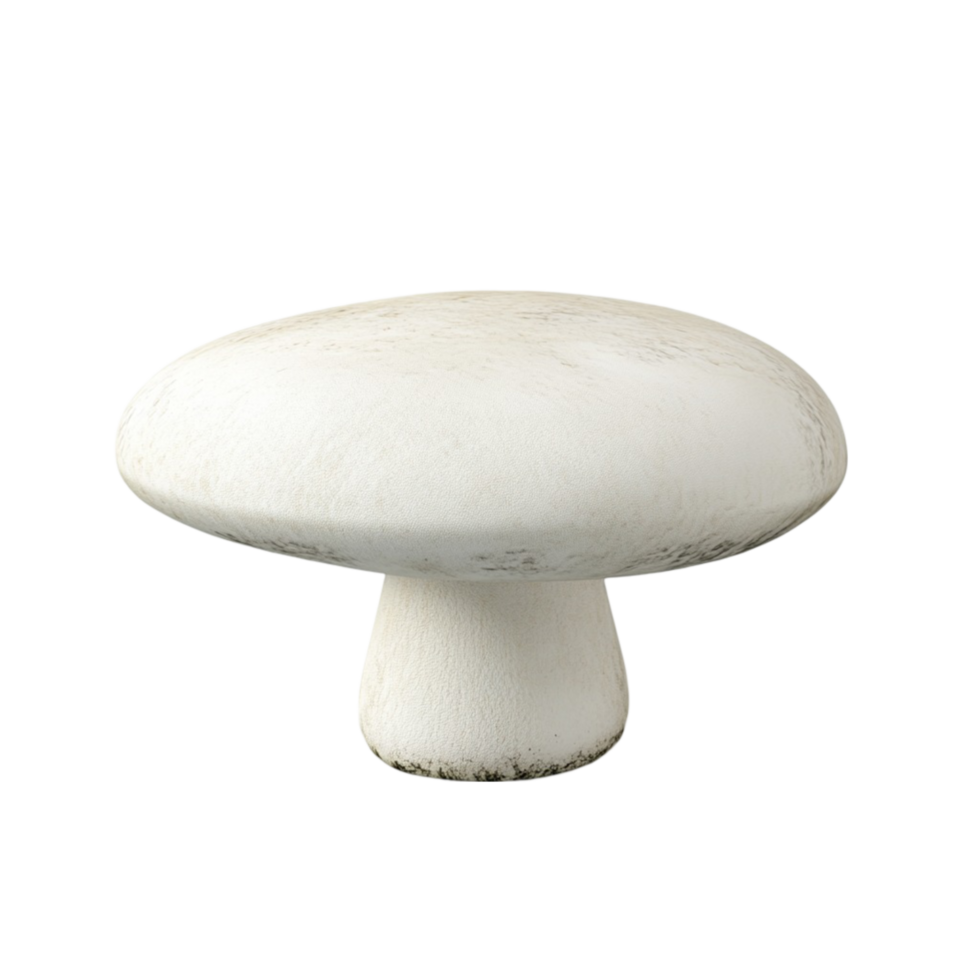 Single White Mushroom Ai Generative 49223451 Png