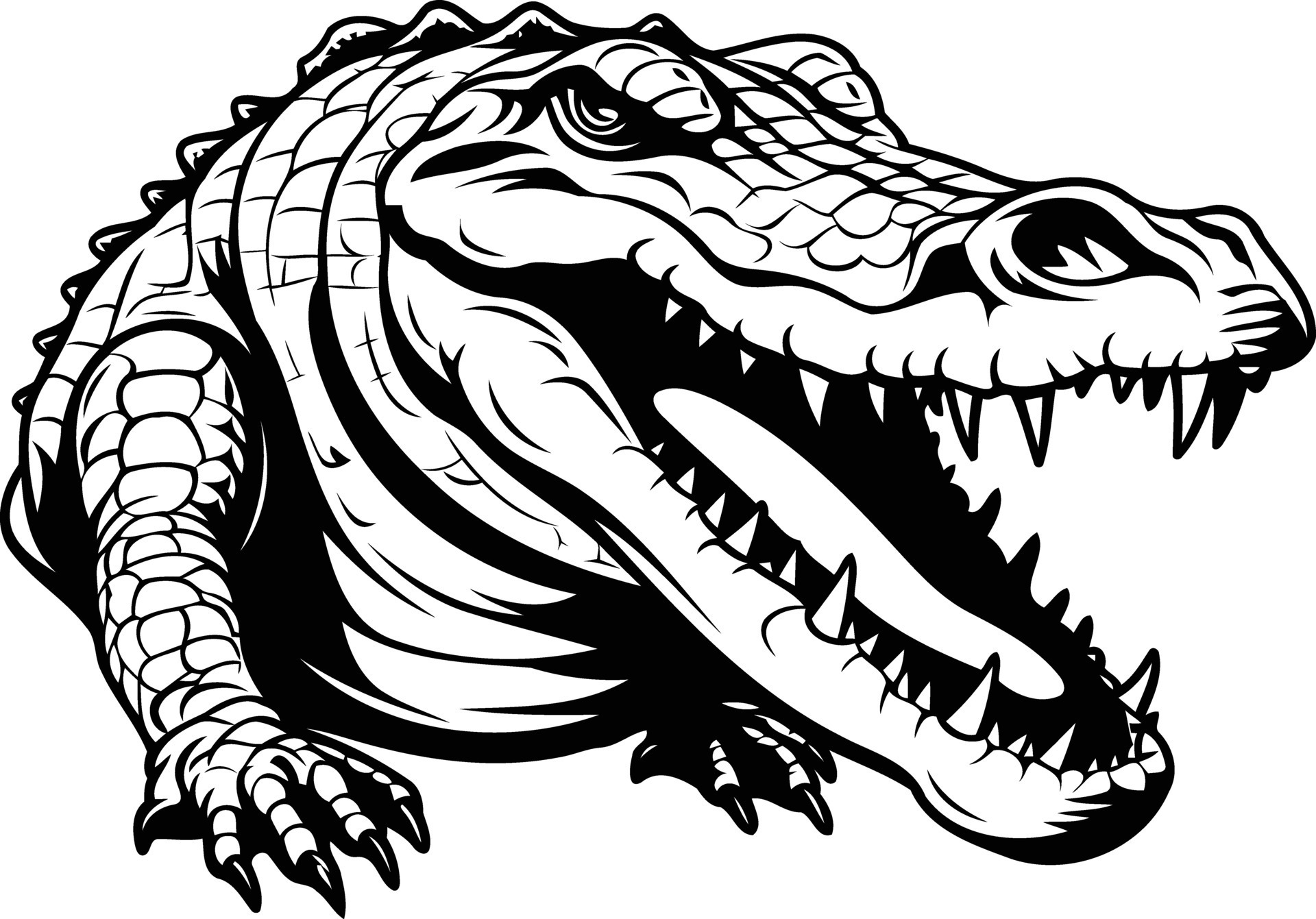 Black and white illustration of a fierce alligator with its jaws open ...