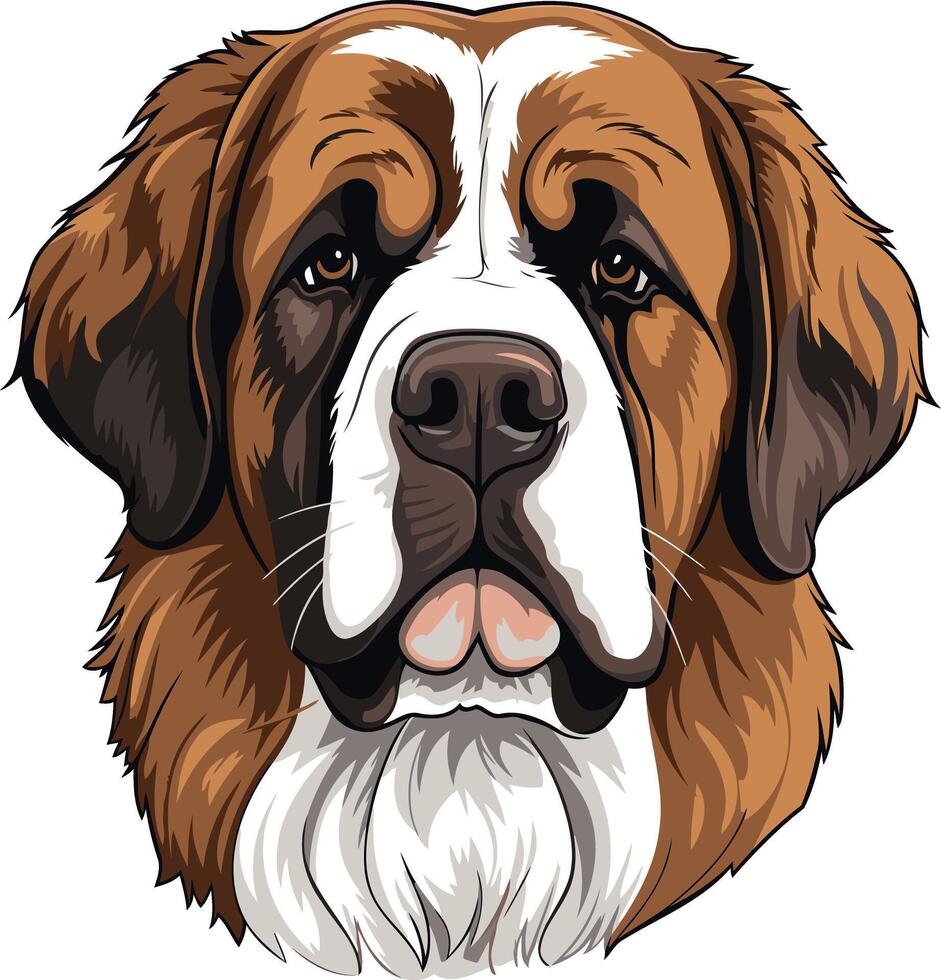 Close-up Portrait of a Saint Bernard Dog 49253334 Vector Art at Vecteezy