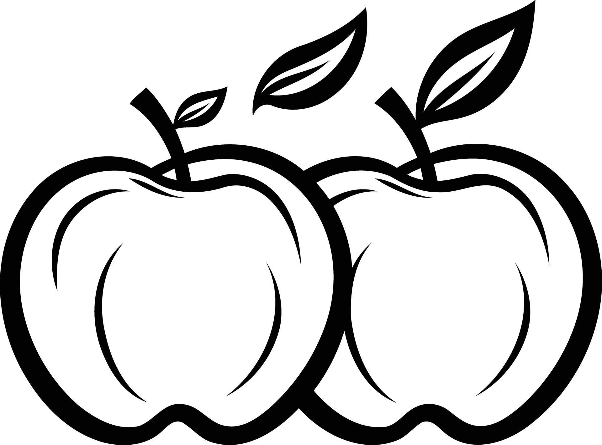 Simple black and white illustration of two apples with leaves 49258639 ...