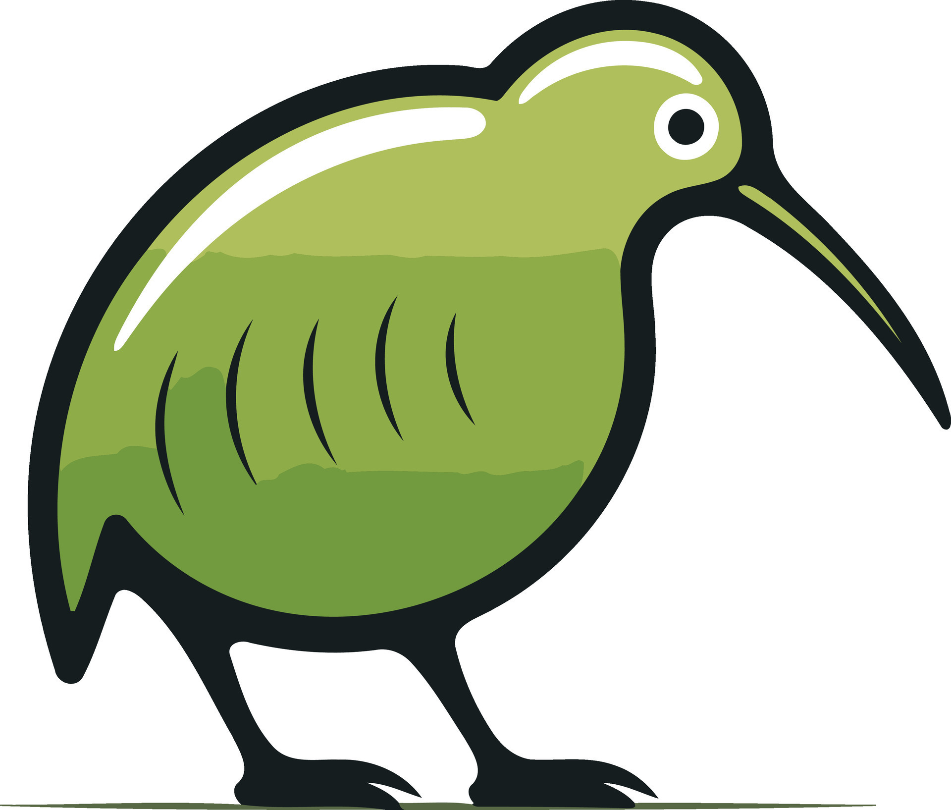 Cartoon Kiwi Bird Illustration 49264798 Vector Art At Vecteezy