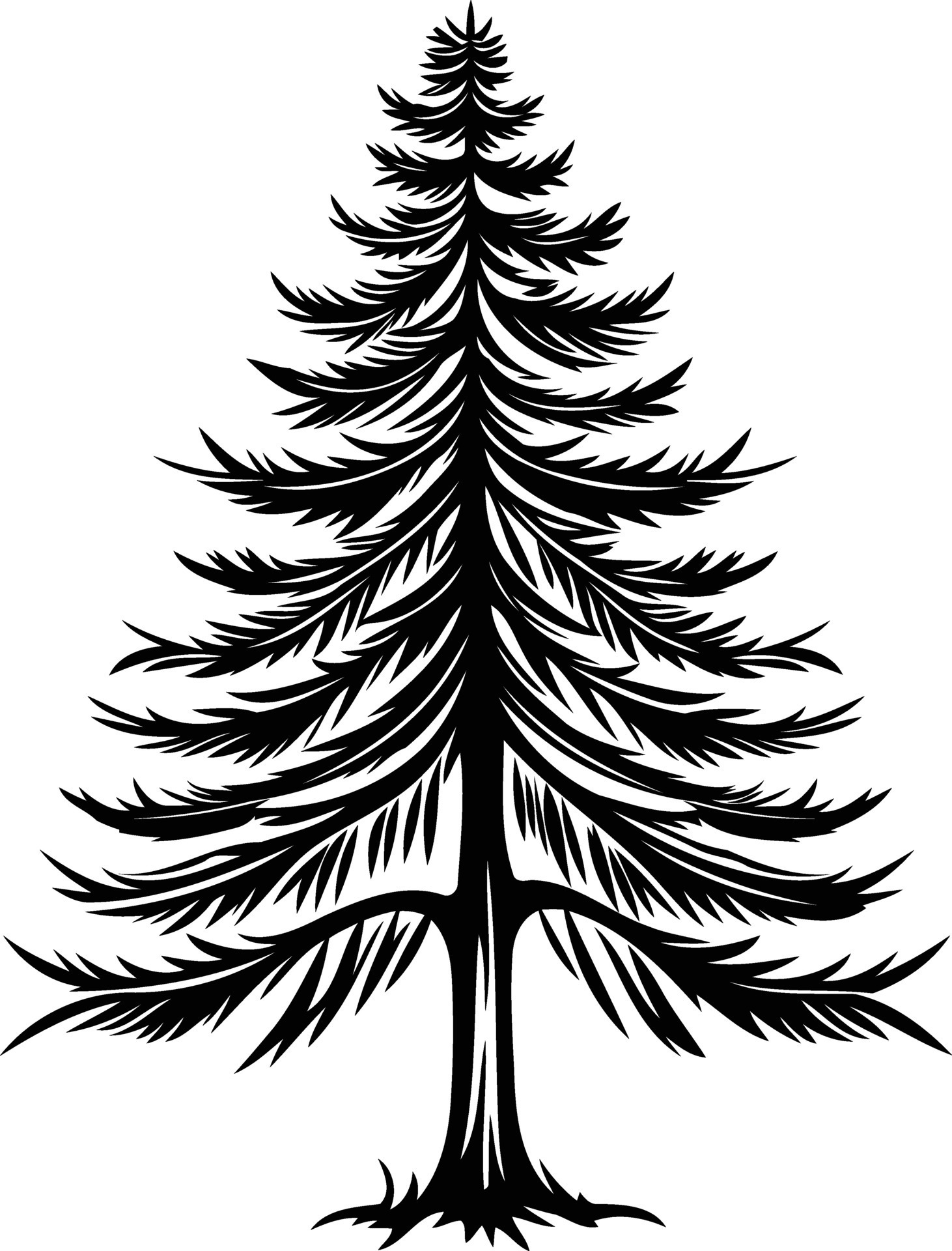 Simple, elegant black and white illustration of a pine tree 49269567 ...