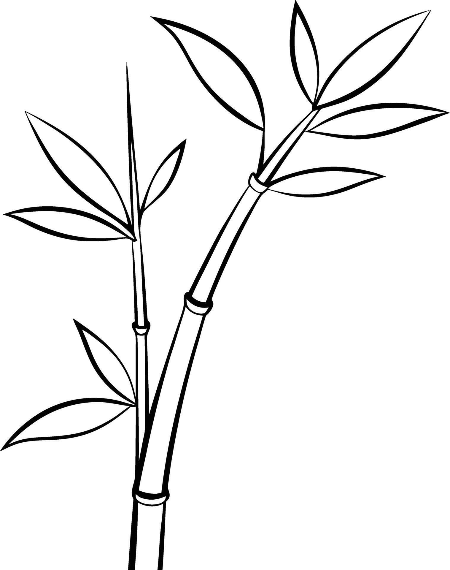 Let your child's imagination soar with our hand drawn Bamboo ...