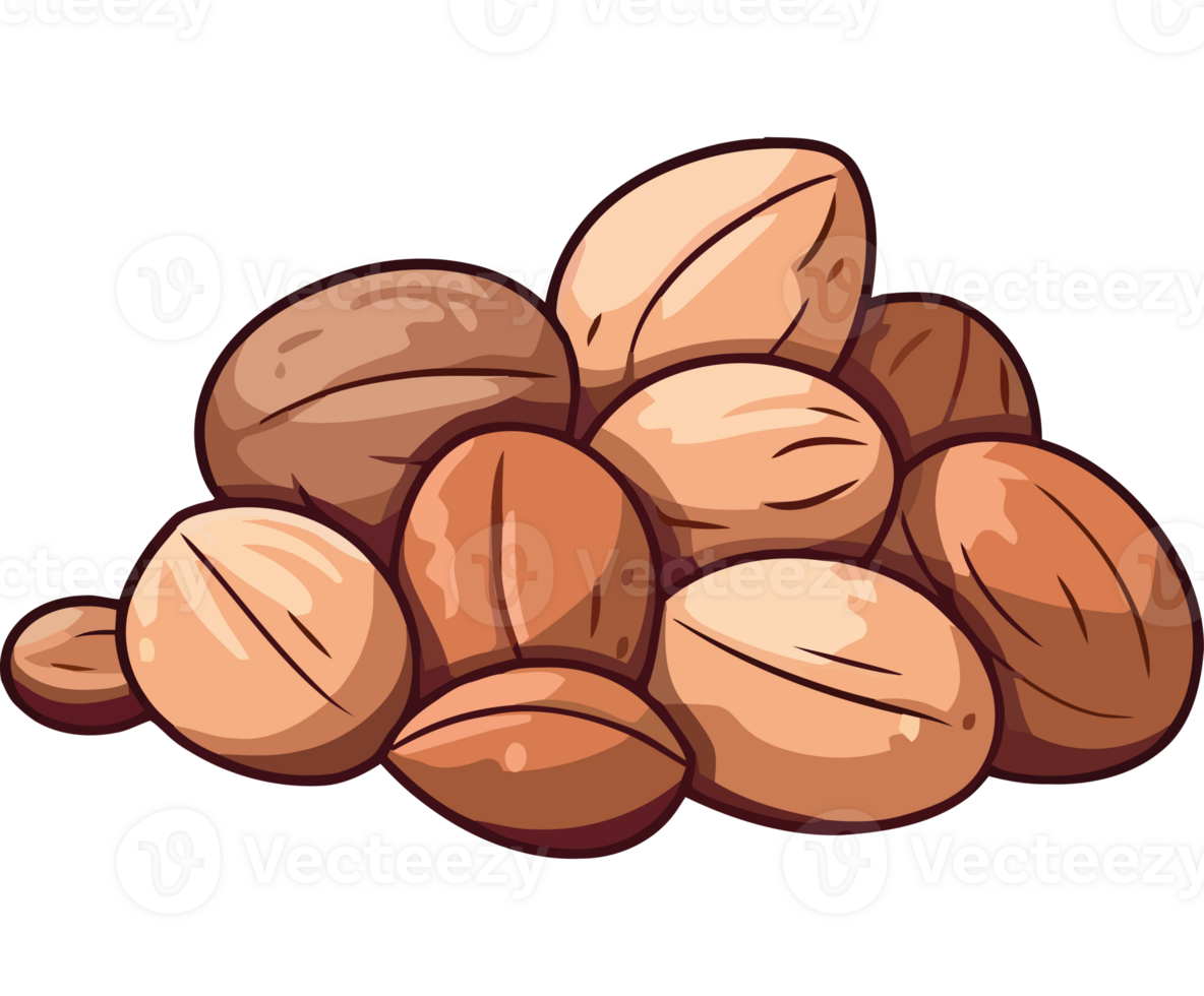 Nuts and nuts clip art 49348626 PNG
