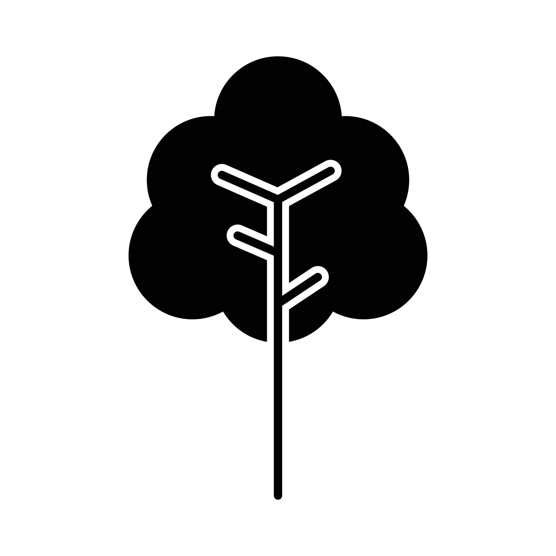 Tree icon set. forest simple tree symbol in black filled and outlined ...