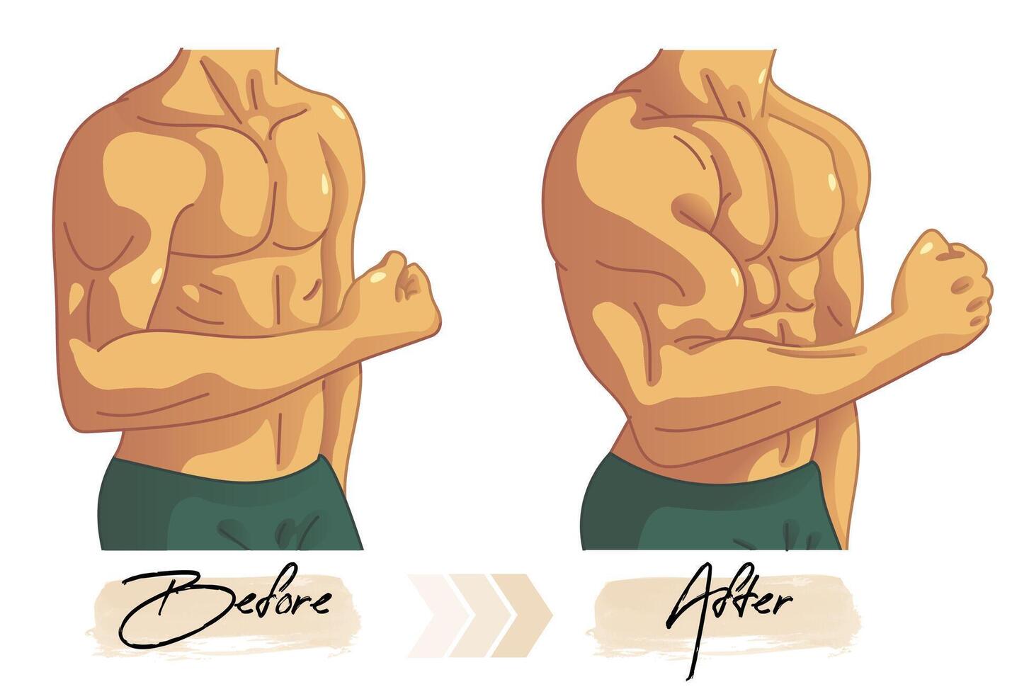 Male arm exercise before and after comparison 49371049 Vector Art at ... Male arm exercise before and after comparison 49371049 Vector Art at ...
