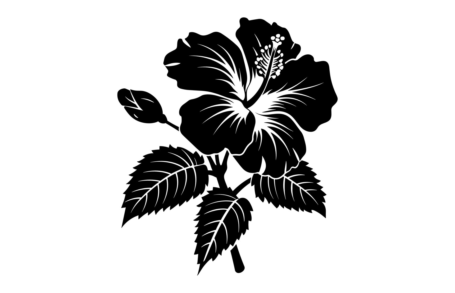 Hibiscus Flower Silhouette 49388923 Vector Art At Vecteezy