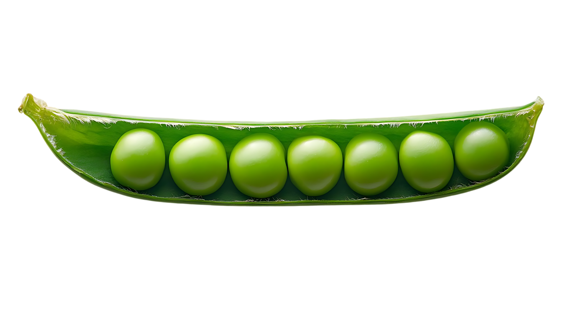Green Peas in a Pod with a Transparent Background A Fresh and Vibrant ...