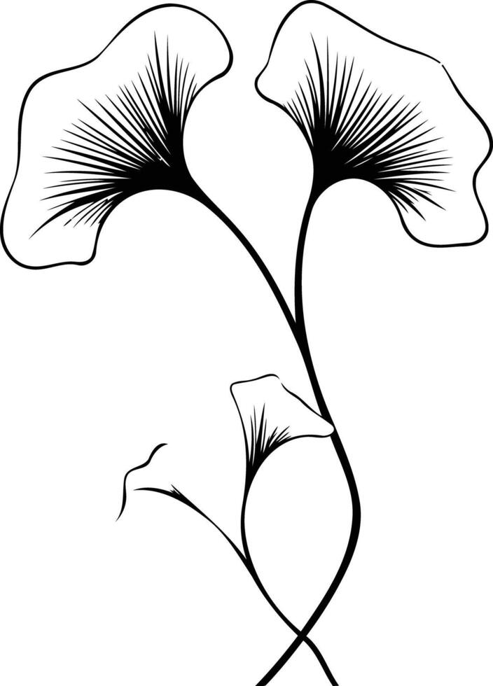Elegant Black And White Line Art Illustration Of A Ginkgo Biloba Leaf
