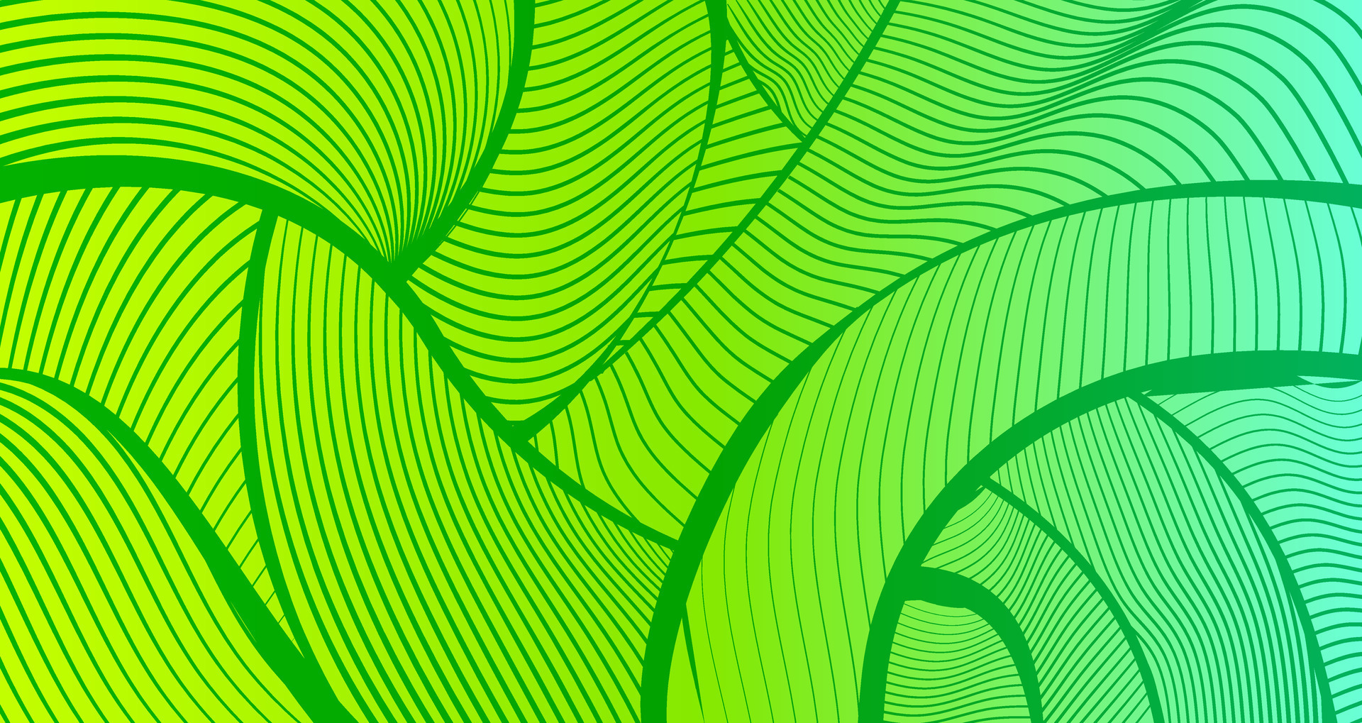 Background Line pattern with abstract lines. Blurred geometric sample ...